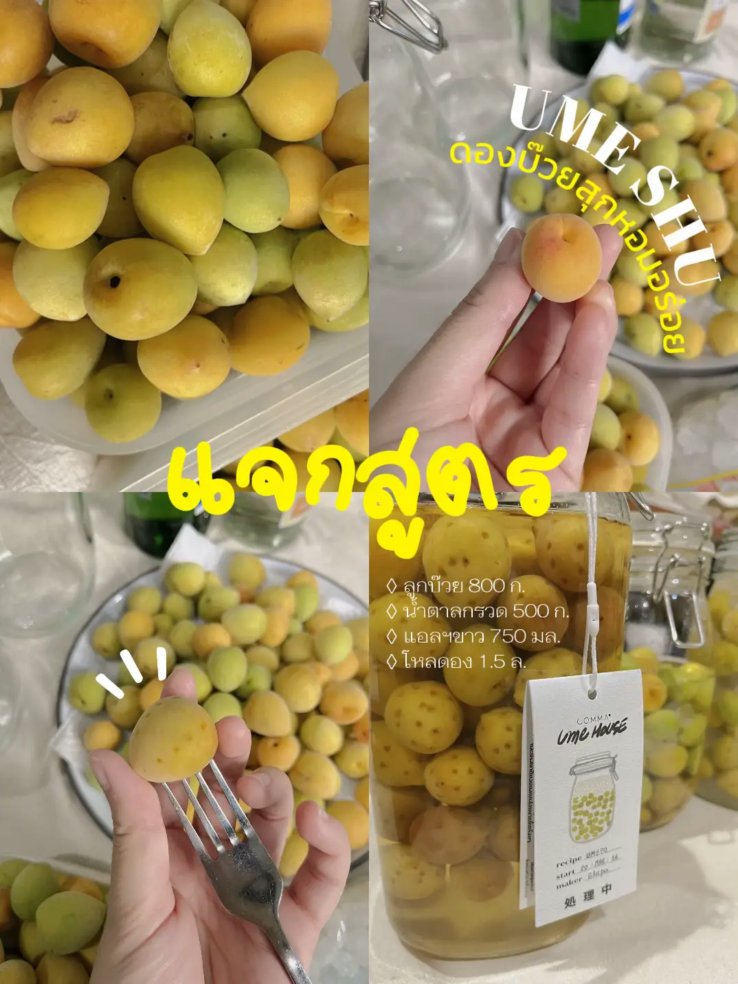 สูตรดองเหล้าบ๊วย ฉบับบ้านเราค่ะ 🥃🌸 | แกลเลอรีที่โพสต์โดย Baan.Mhee ...