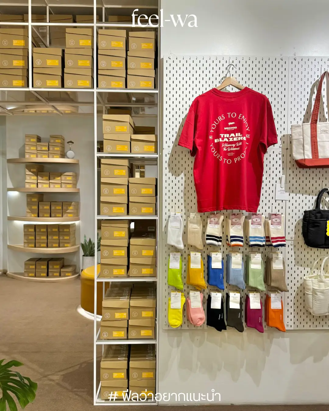 แกกกกก Mustard Sneakers อยากได้ทุกสี กุจะเครซี่ 💳 | แกลเลอรีที่โพสต์โดย ...