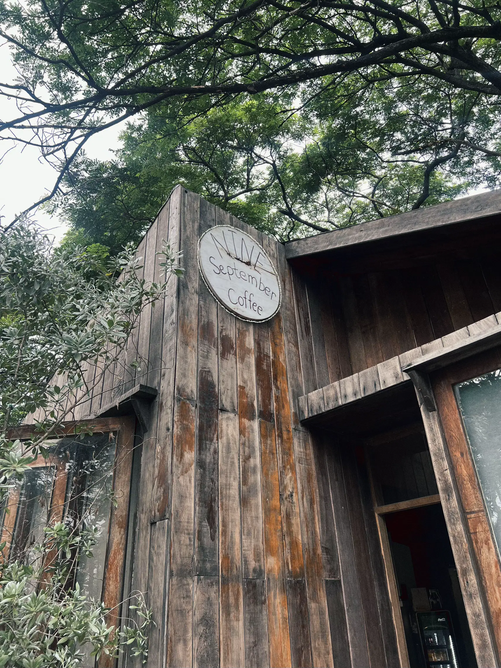 คาเฟ่สระบุรีที่คอกาแฟต้องไม่พลาด 9th september cafe | แกลเลอรีที่โพสต์ ...