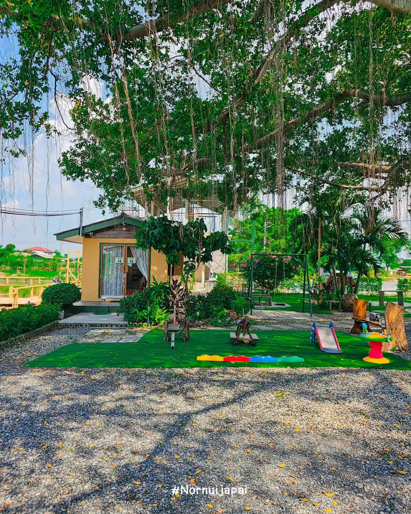 🏡คาเฟ่ต้นไทร Vibe ดี ย่านลาดกระบัง | แกลเลอรีที่โพสต์โดย noonui | Lemon8