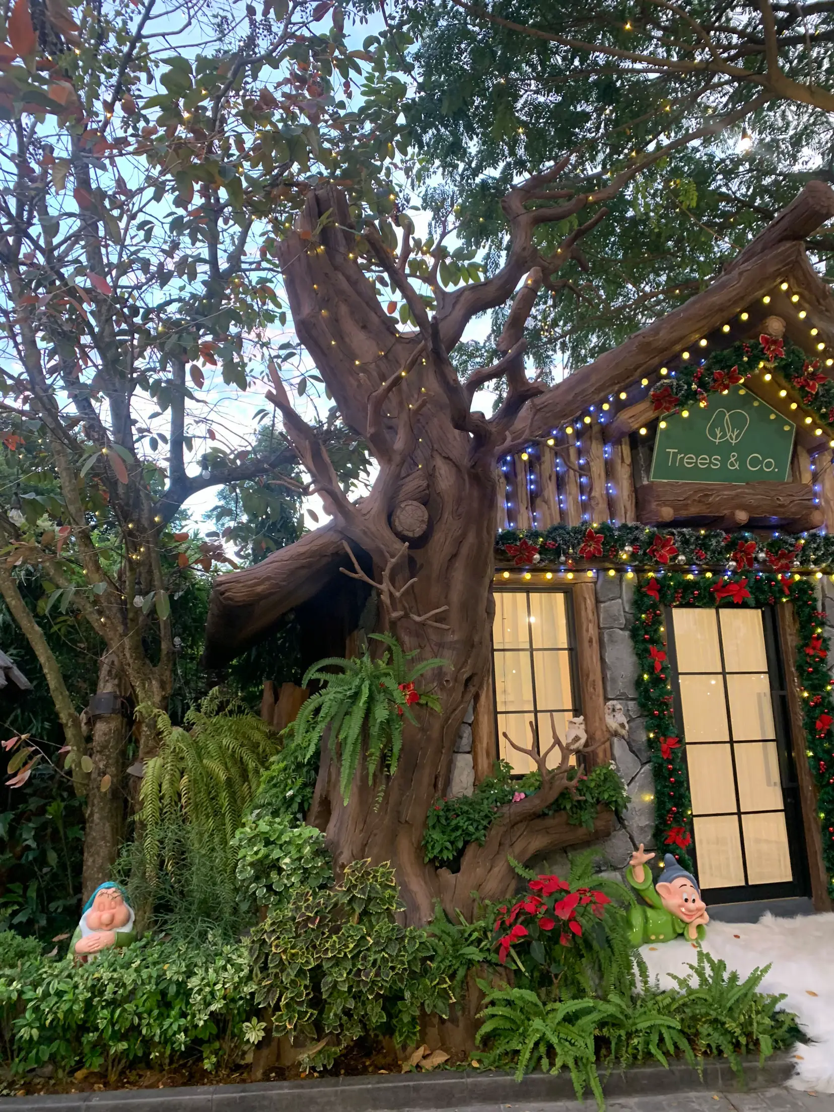 Trees&Co - Wild Duck คาเฟ่น่ารักๆย่านมีนบุรี | แกลเลอรีที่โพสต์โดย ...