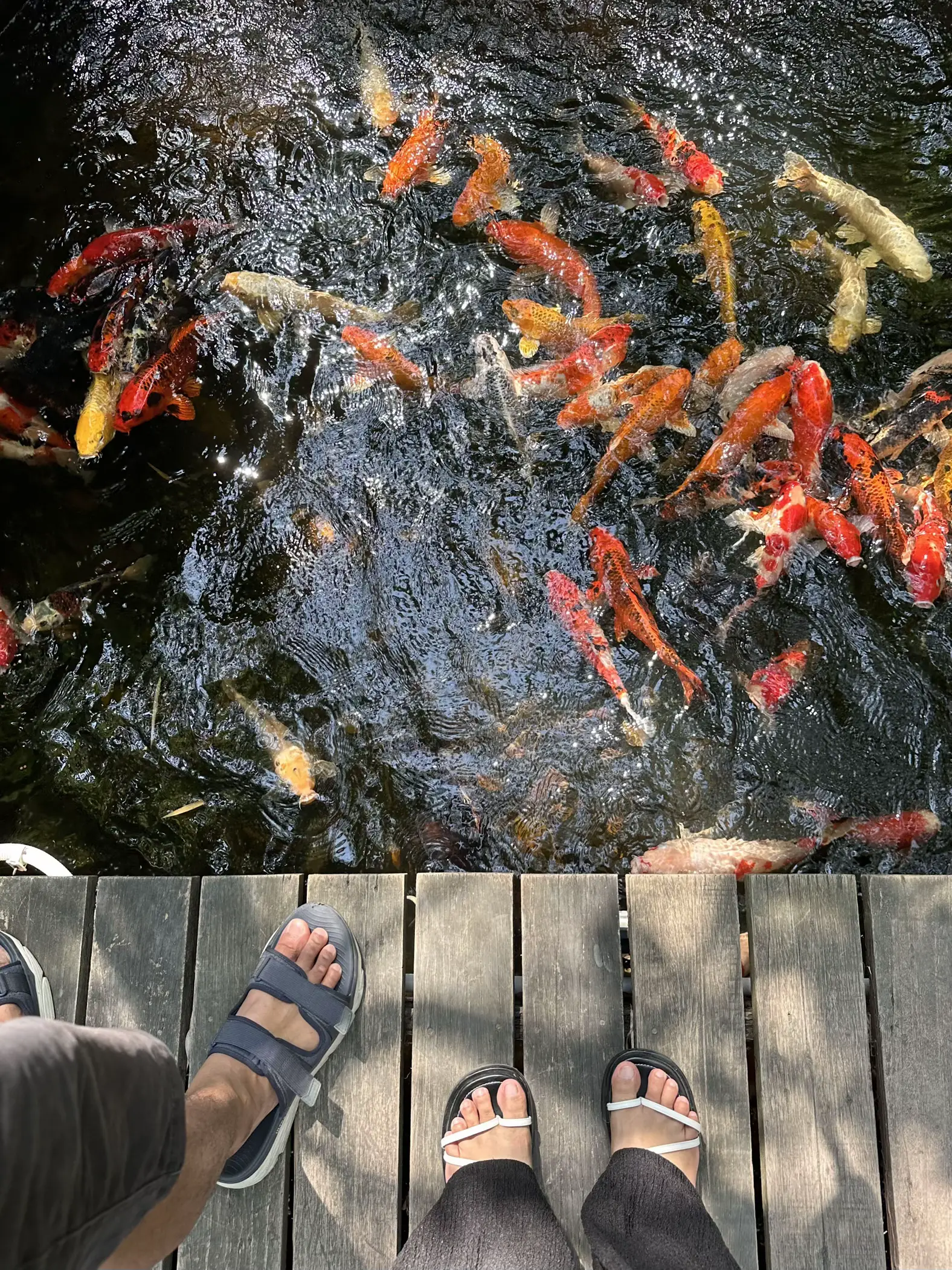 คาเฟ่สไตล์ไทยๆ ที่สุพรรณบุรี | แกลเลอรีที่โพสต์โดย Bajaree.wk | Lemon8