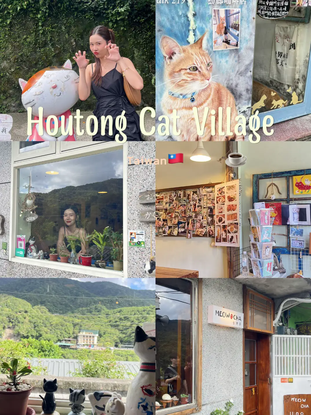 ทาสแมวต้องมา Houtong Cat Village ไต้หวัน🇹🇼 Ep.2 | แกลเลอรีที่โพสต์โดย Fernapas 👑 | Lemon8