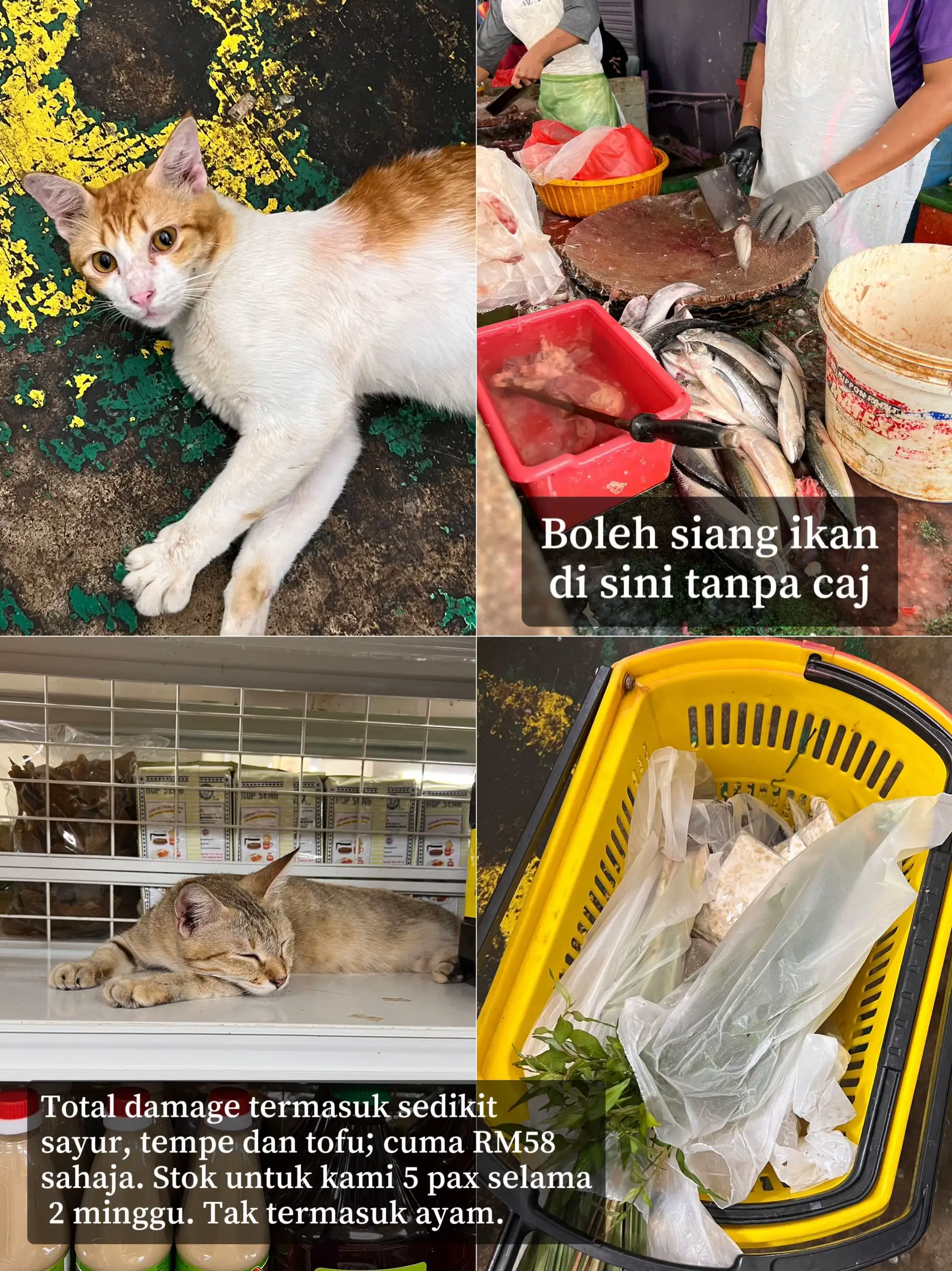 Pasar SEGAR dan TERPALING MURAH. Nak tau kat mana? | Galeri disiarkan ...