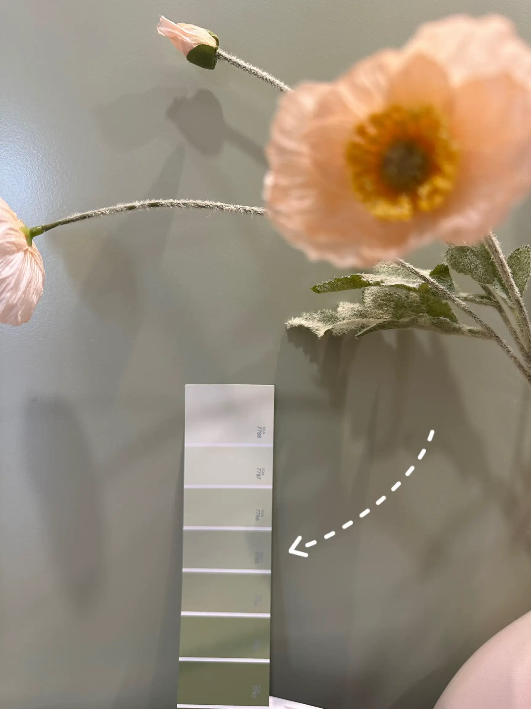 เรื่องของบ้าน 6 : เลือกสีบ้านสีไหนดีจากคอลใหม่TOA 🏡🏠 | แกลเลอรีที่โพสต์ ...