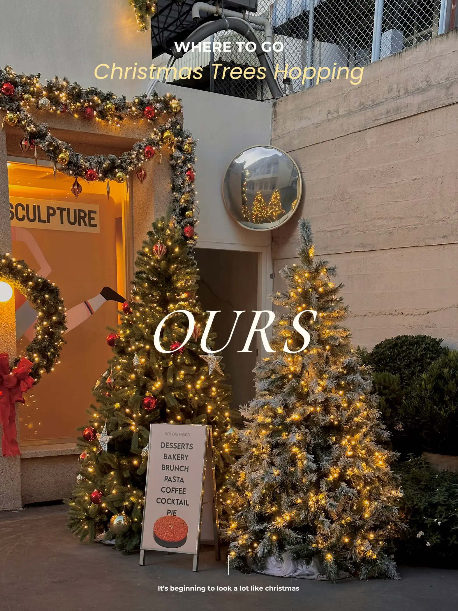 It’s beginning to look a lot like Christmas 🎄 | แกลเลอรีที่โพสต์โดย ...