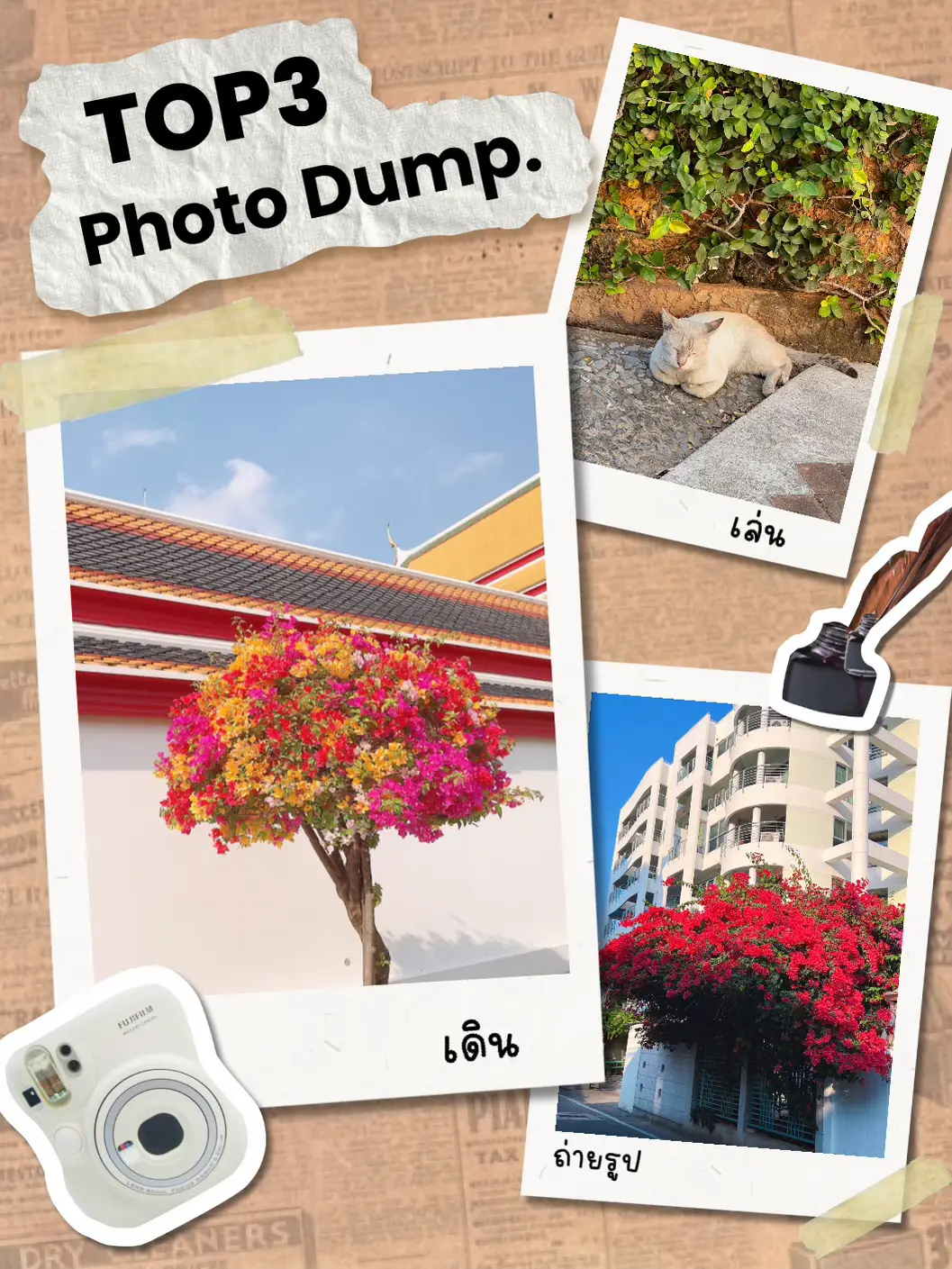 เดิน•เล่น•ถ่ายรูป 📷 | แกลเลอรีที่โพสต์โดย Fasai_Diary | Lemon8