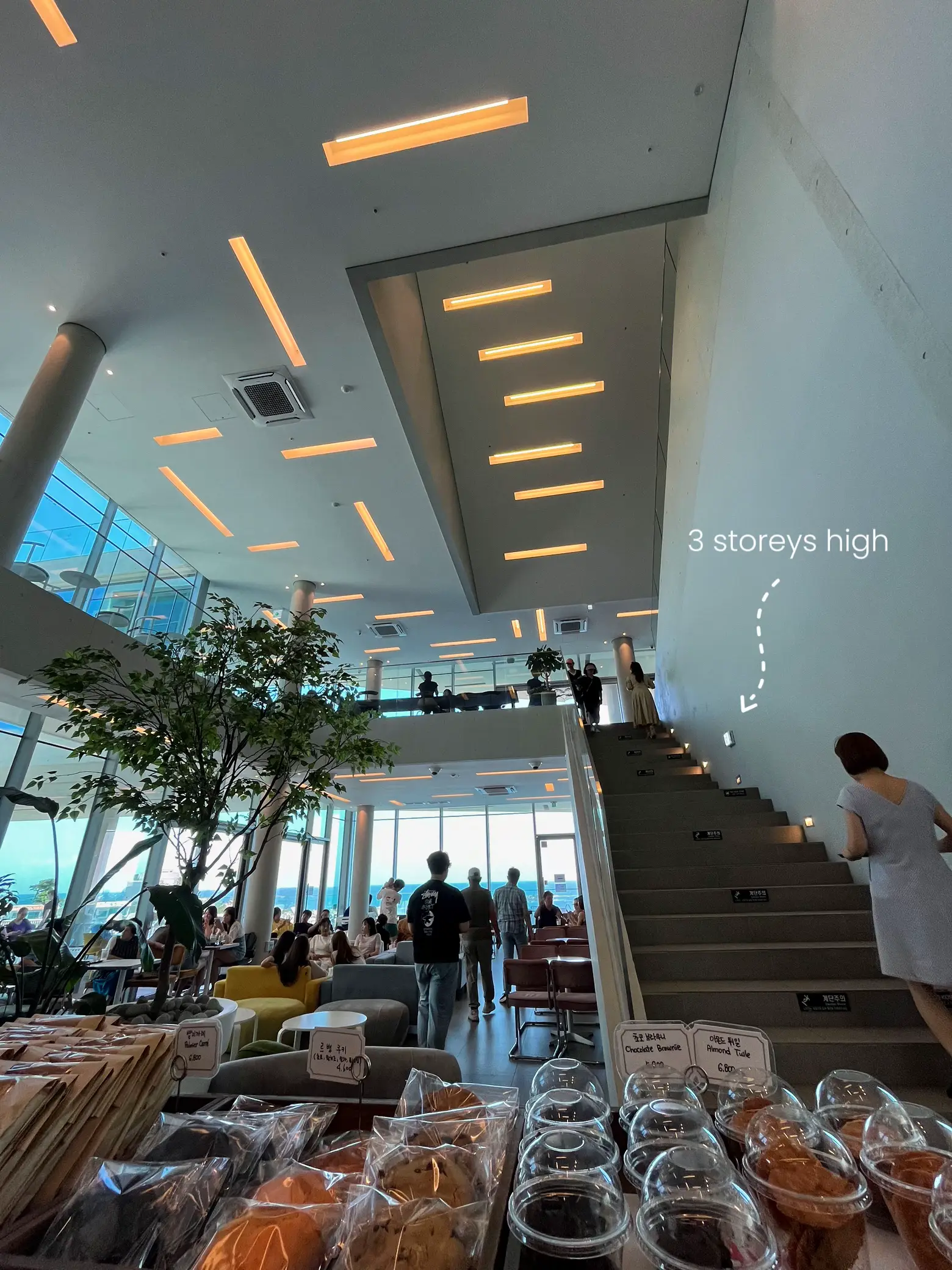 CAFE in BUSAN with a SEA VIEW (& good pastries) 🥵 | Gallery posted by ...