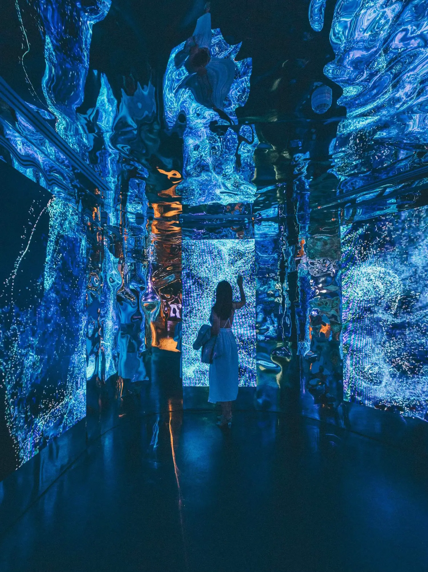 The Jelly Fish Universe สวยมากกกก 🪼 | แกลเลอรีที่โพสต์โดย Whenwewander | Lemon8