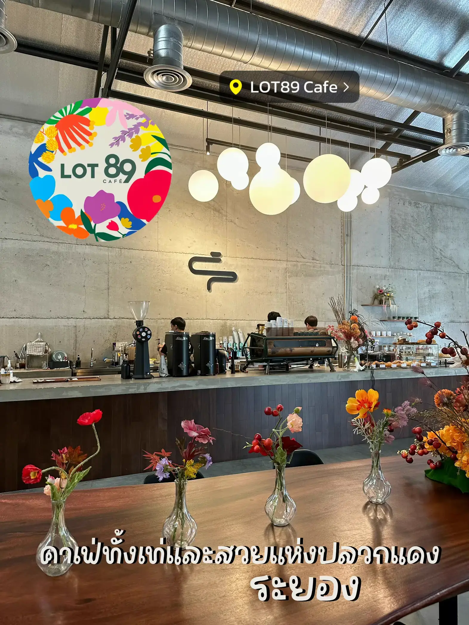 𝗟𝗢𝗧𝟴𝟵 𝗰𝗮𝗳𝗲 : ค่าเฟ่สุดเท่สุดสวยแห่งปลวกแดง, ระยอง 🌻🪵🌿 | แกลเลอรีที่โพสต์โดย Fenafern | Lemon8