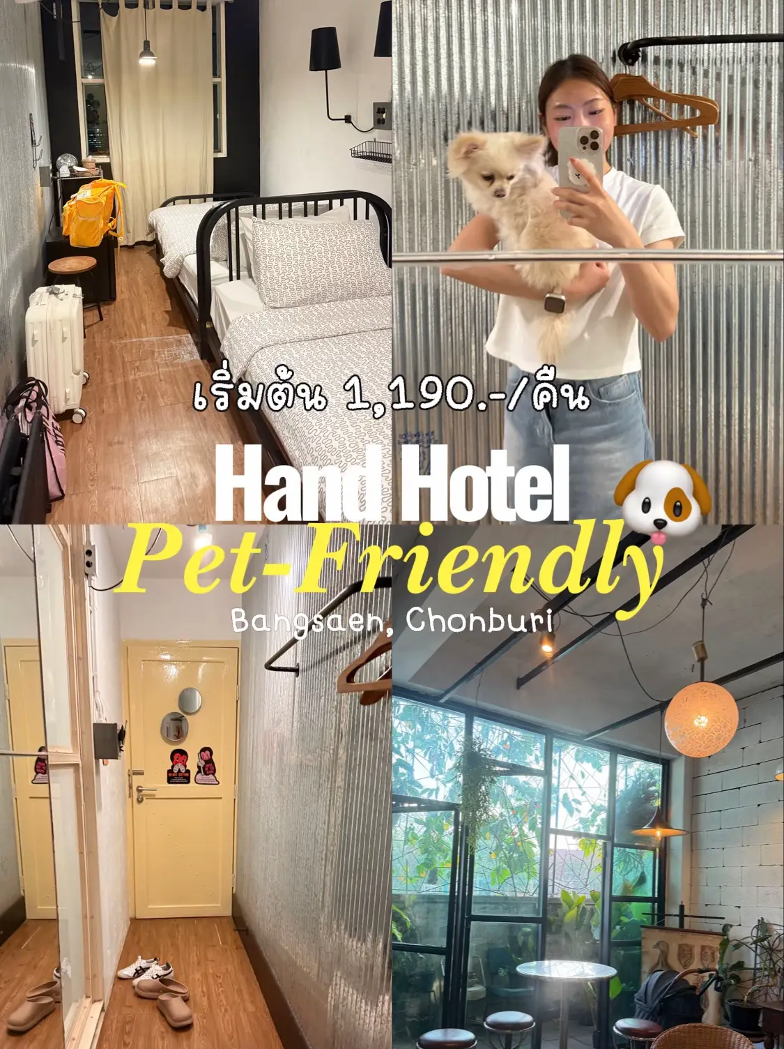 Pet Friendly โรงแรม ใกล้กรุงเทพ | 2025 ประสบการณ์ผู้ใช้จริงบน Lemon8