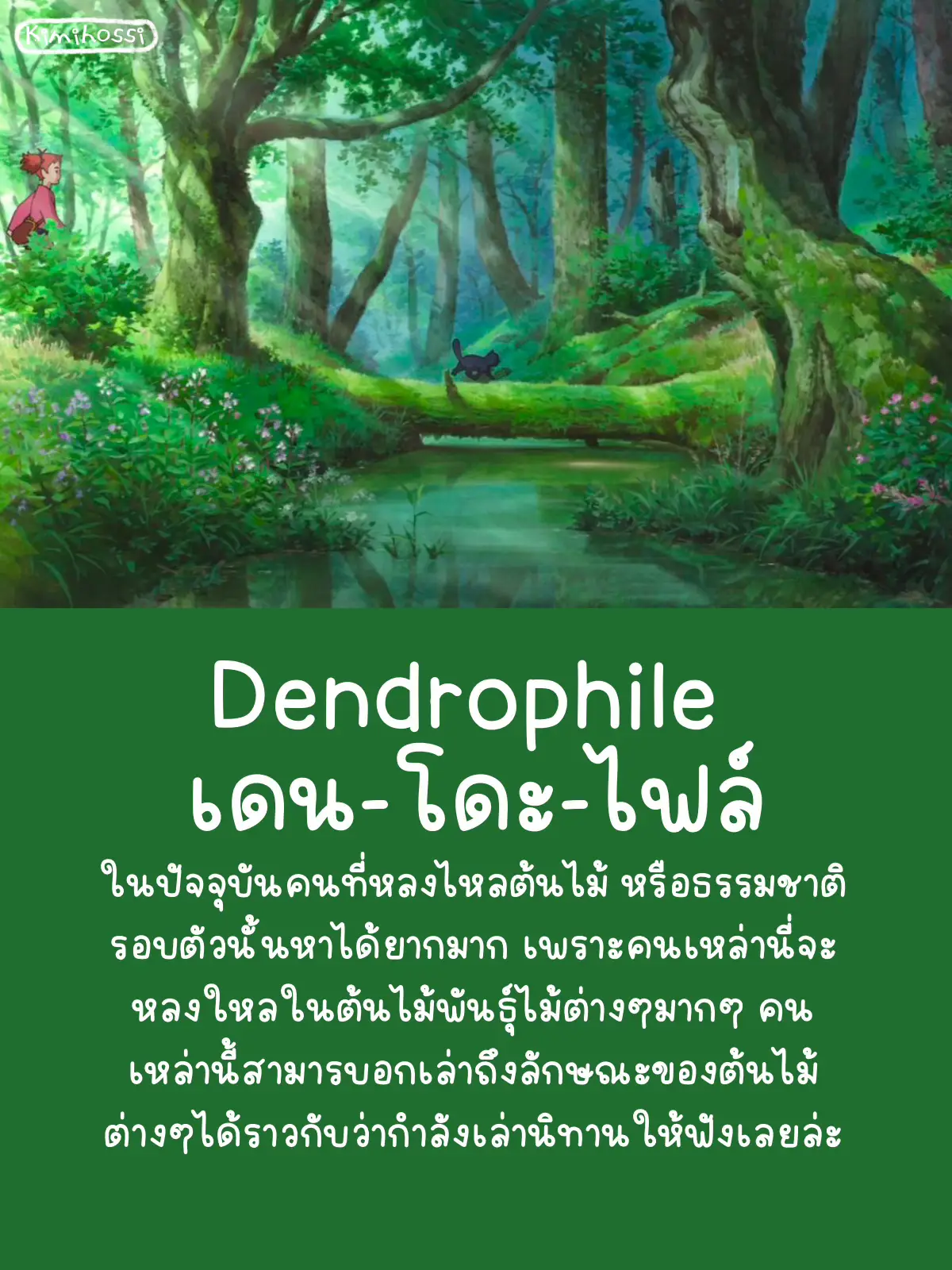 🌳มีจริงๆนะ คนที่หลงไหลในธรรมชาติ! | แกลเลอรีที่โพสต์โดย Kimihossi | Lemon8