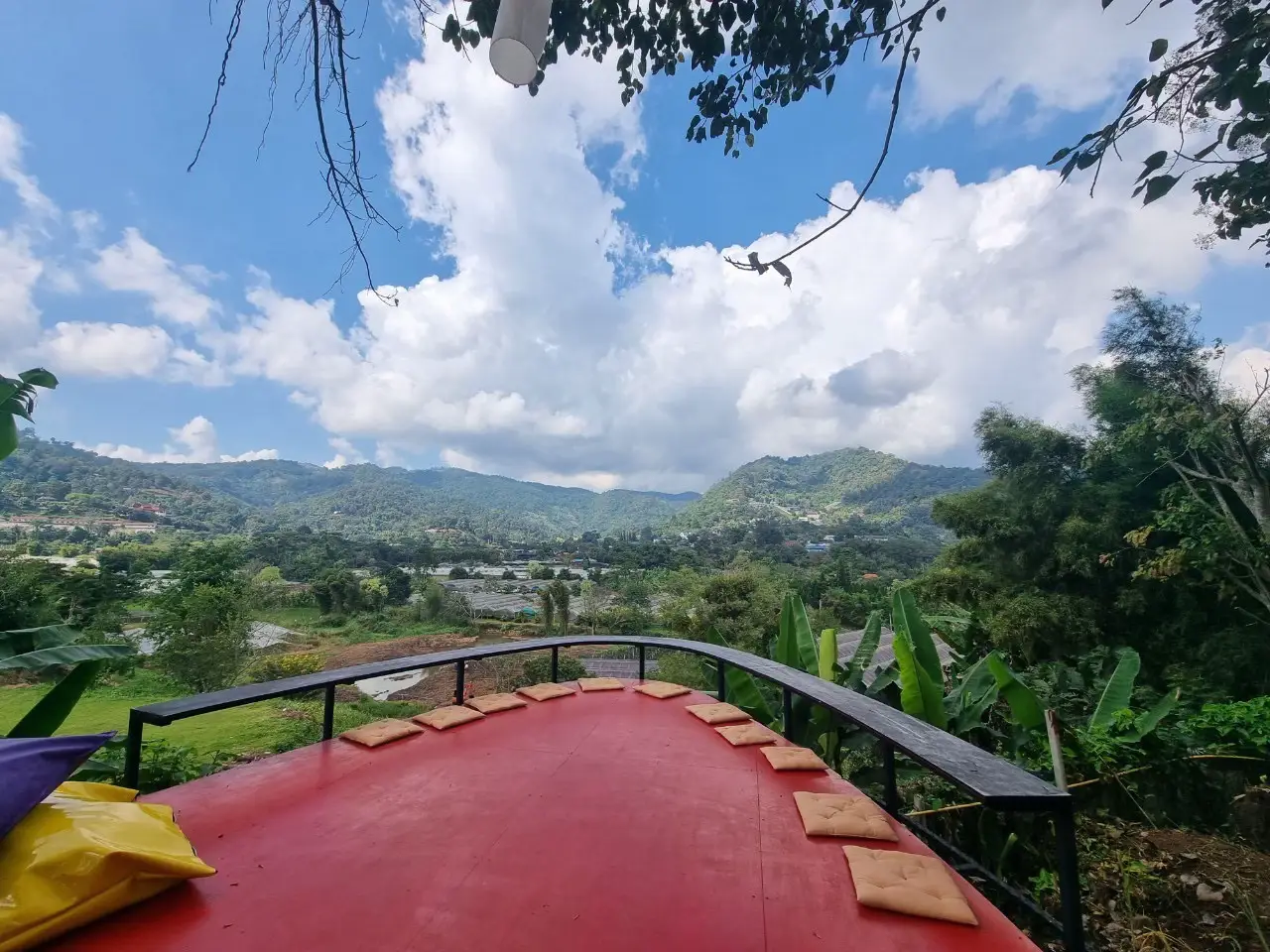 เก็บผัก จิบกาแฟ ดูไก่ฝรั่ง | แกลเลอรีที่โพสต์โดย WANTIYA | Lemon8