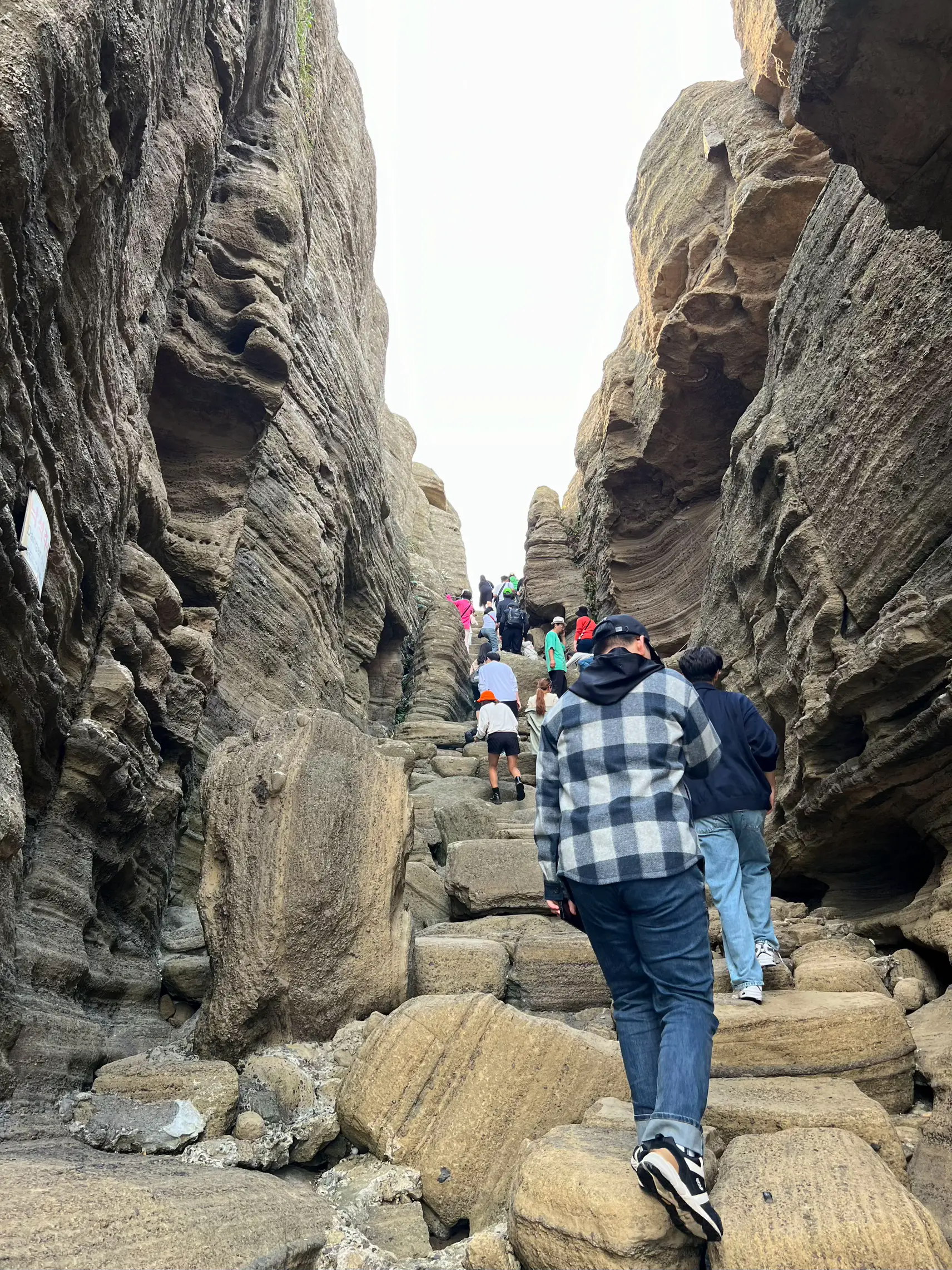 🇰🇷 First time to soju land | Jeju leg | Day 1 p.m. | Gallery posted by ...