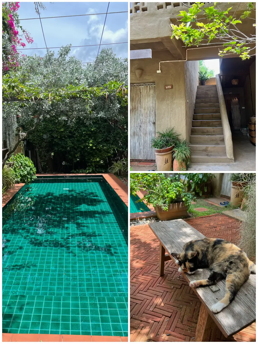 OOTD & LV vintage 🐻 | แกลเลอรีที่โพสต์โดย Sobee.story 🎀 | Lemon8