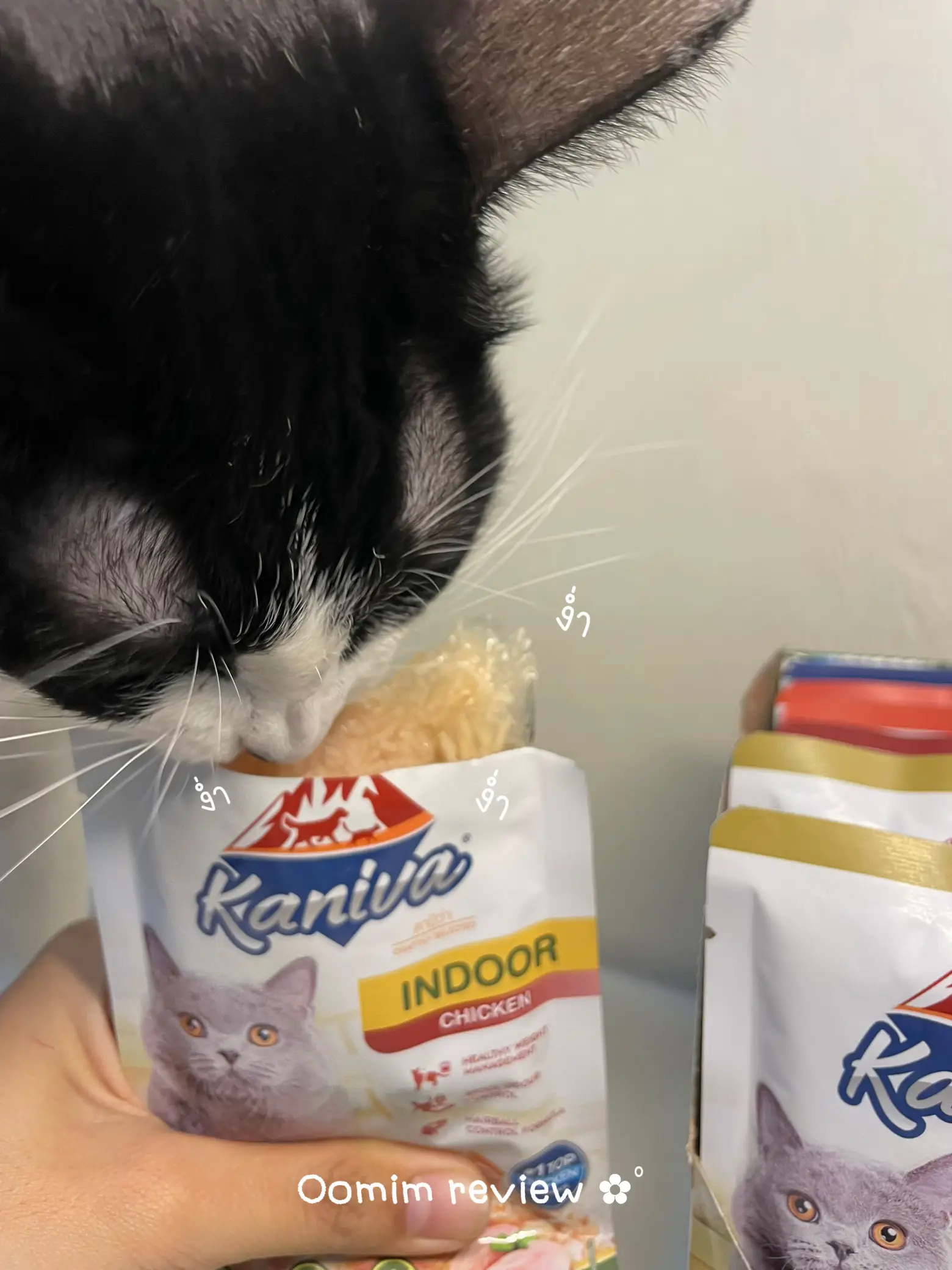 อาหารเปียกแมว Kaniva Pouch 🐈‍⬛🥢 | แกลเลอรีที่โพสต์โดย brn 🫧 | Lemon8