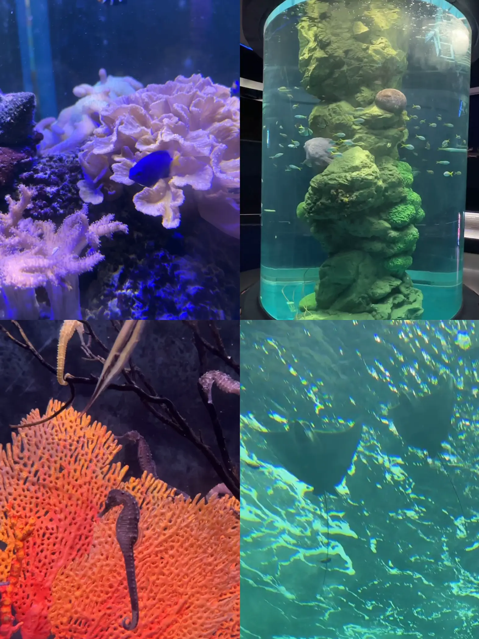 1 Day Trip at Bangsean | แกลเลอรีที่โพสต์โดย Giada Pairin | Lemon8