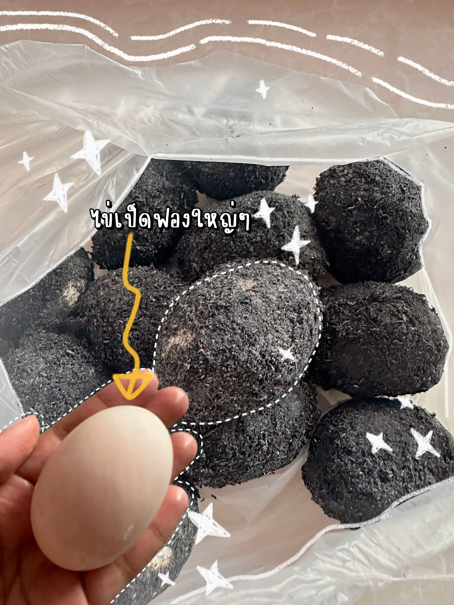 สุรีรัตน์ ไข่เค็มไชยา ของอร่อยจังหวัดสุราษฎร์ธานี | แกลเลอรีที่โพสต์โดย ...