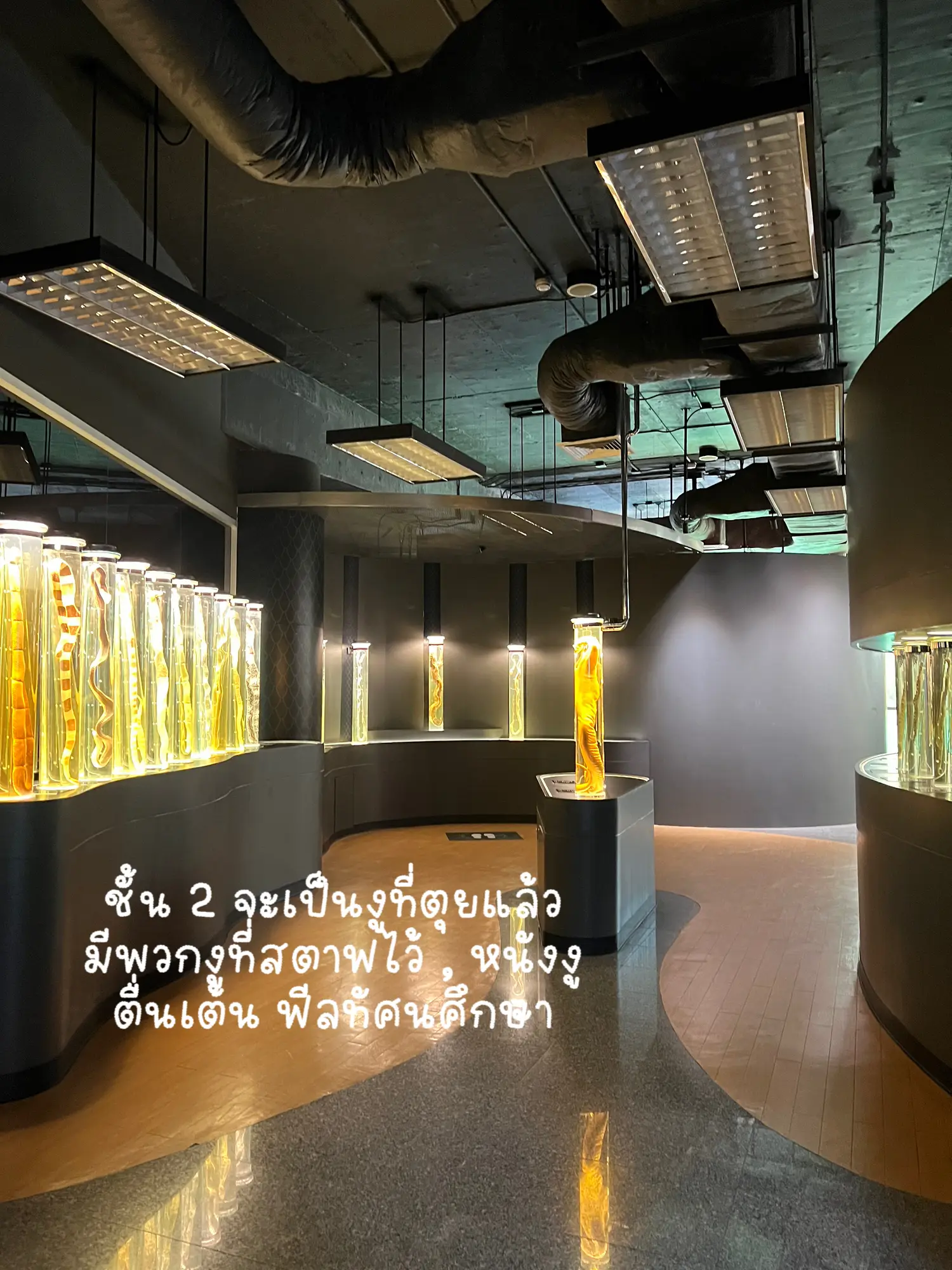 เที่ยวสวนงู🐍💨 ค่าเข้า20บาท!! | แกลเลอรีที่โพสต์โดย roployro🍮 | Lemon8