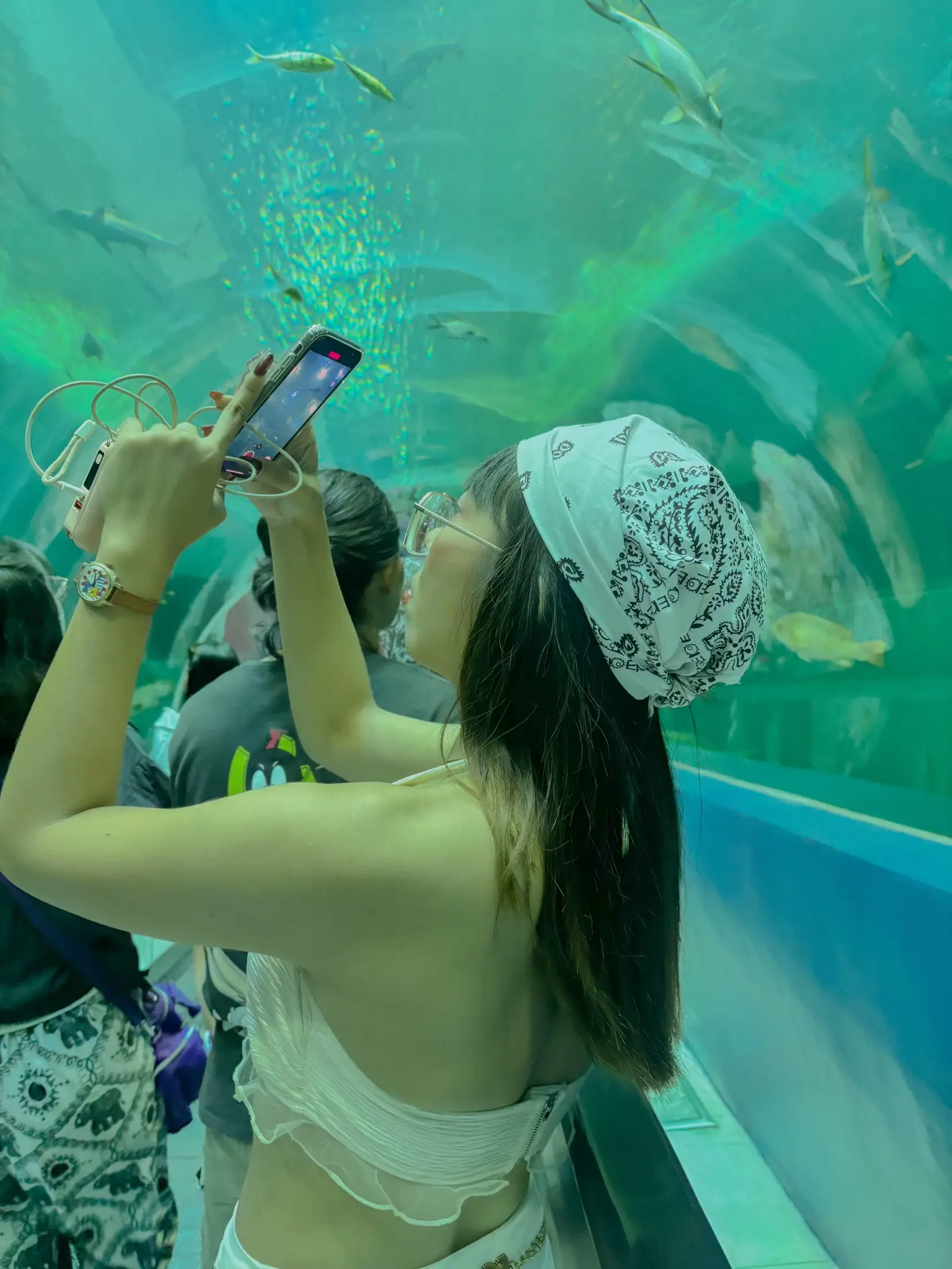 Aquarium Bangsaen : ท่องโลกใต้ทะเลกัน🪼🐡🦀🐋🫧 | แกลเลอรีที่โพสต์โดย pangz | แป้ง 𐙚 | Lemon8