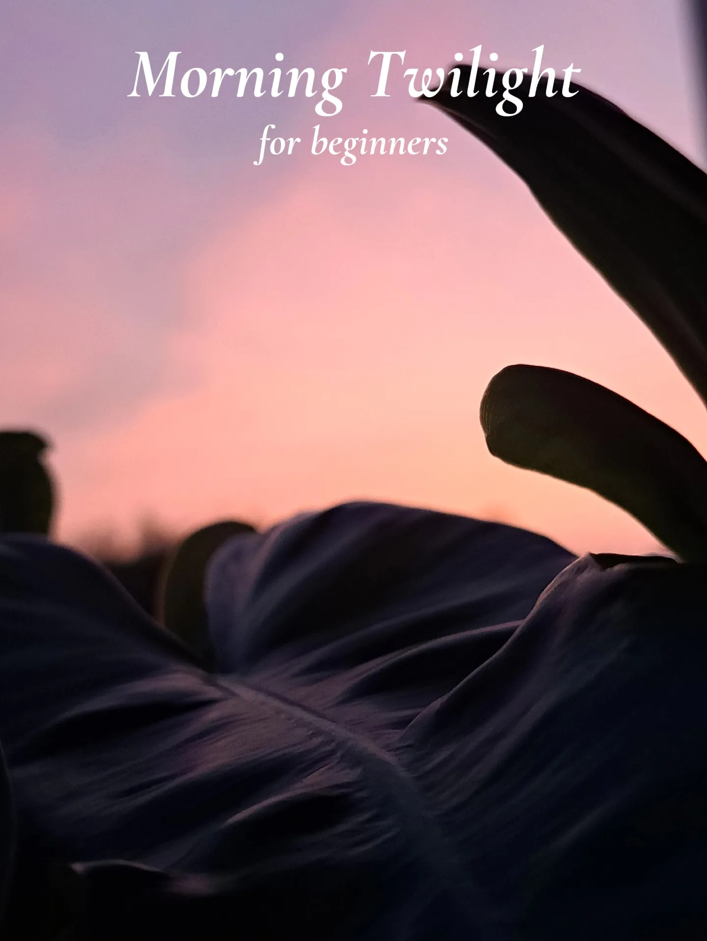 Morning Twilight | แกลเลอรีที่โพสต์โดย Chaw_Pontip | Lemon8