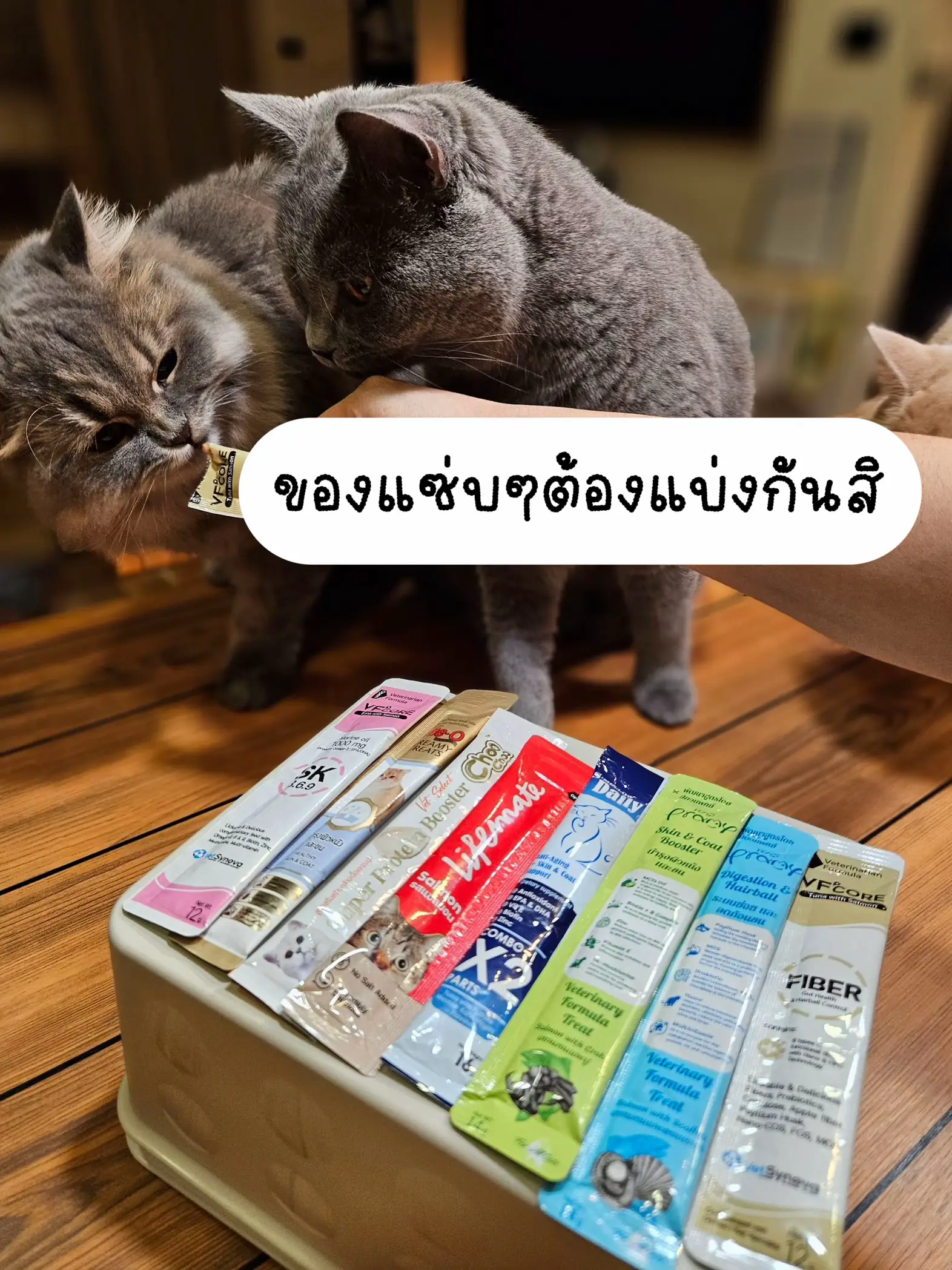 ขนมแมวเลียliebao - การค้นหาใน Lemon8