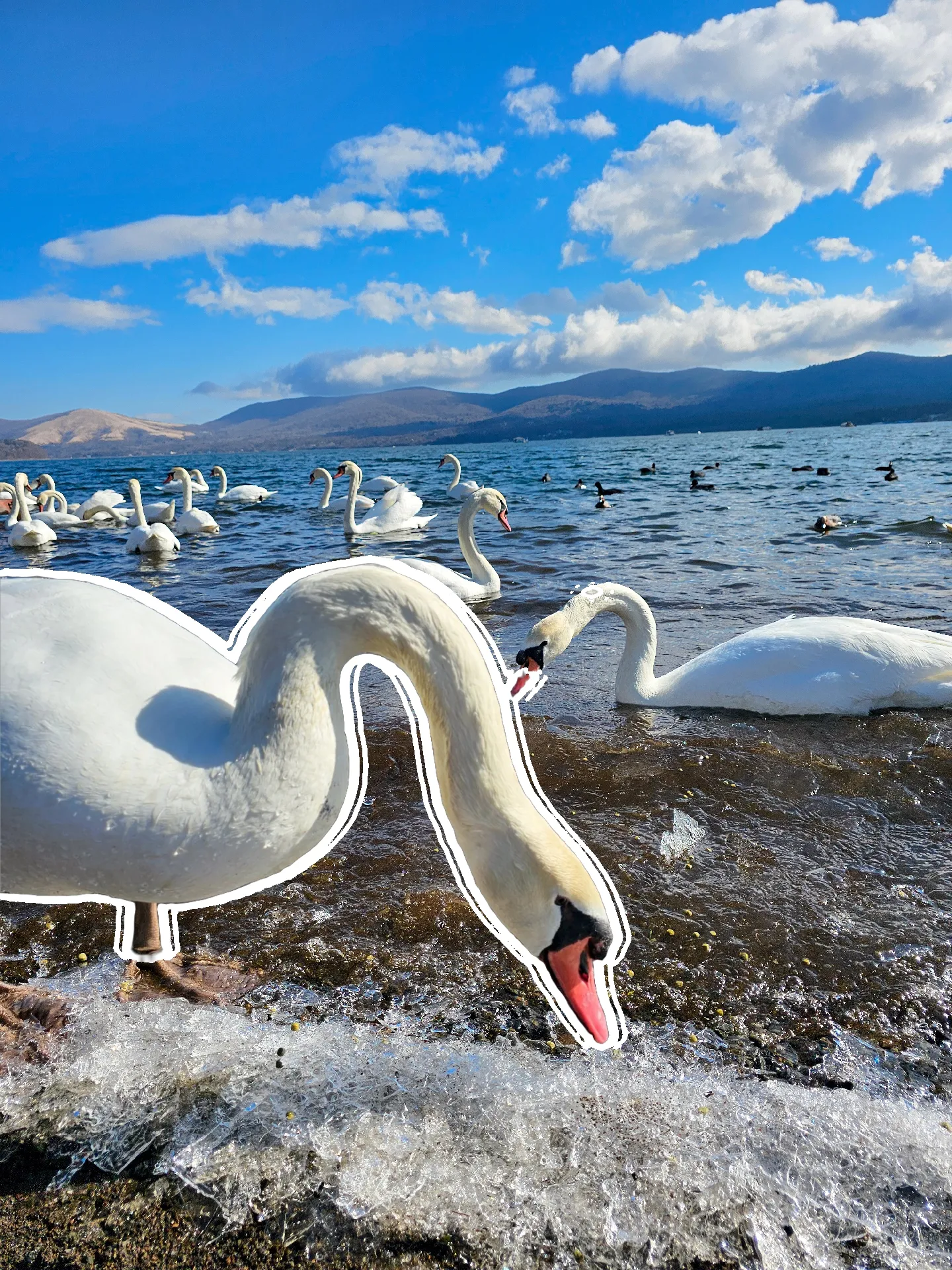 Yamanaka Lake | แกลเลอรีที่โพสต์โดย Patcha Ht | Lemon8