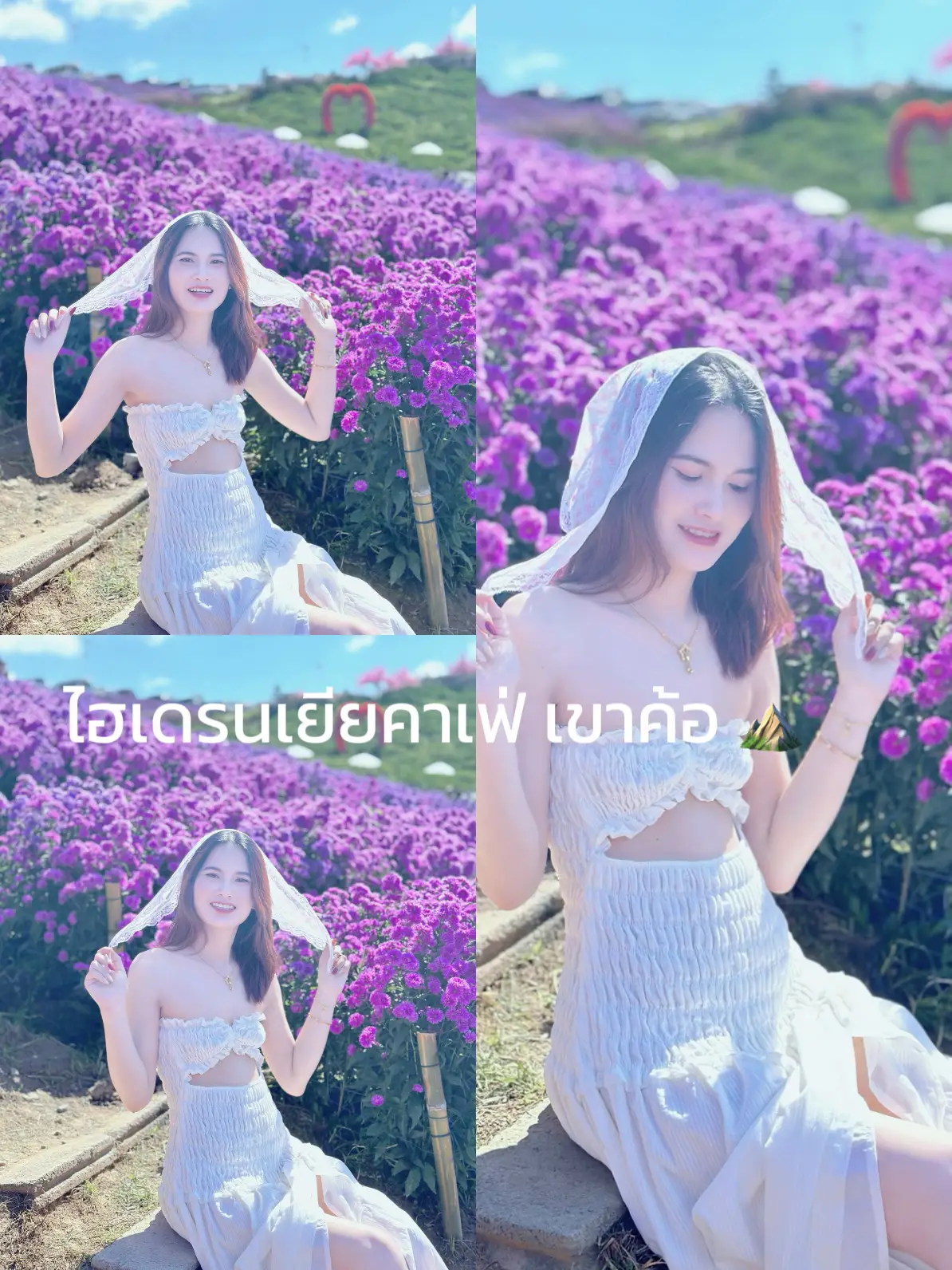 ไฮเดรนเยียคาเฟ่ เขาค้อ ⛰️ | แกลเลอรีที่โพสต์โดย Srisuda Chaiyot | Lemon8