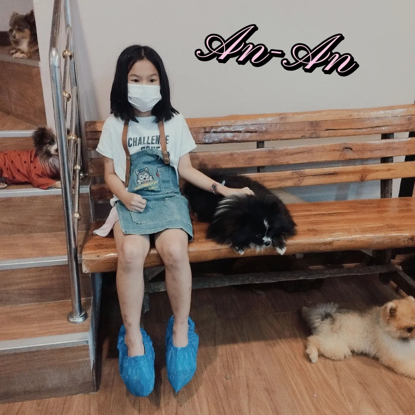 Cirin L โพสต์ผลงานแล้ว ดูและยื | แกลเลอรีที่โพสต์โดย Cirin L | Lemon8