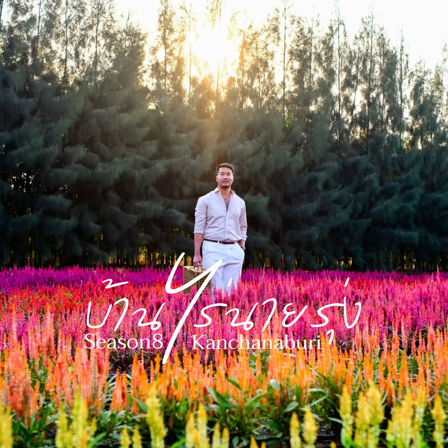 𝑩𝑨𝑨𝑵 𝑹𝑨𝑰 𝑵𝑨𝑰 𝑹𝑼𝑵𝑮 𝑺𝑬𝑨𝑺𝑶𝑵 𝟖 💐𝒦𝒶𝓃𝒸𝒽𝒶𝓃𝒶𝒷𝓊𝓇𝒾 ,𝒯𝒽𝒶𝒾𝓁𝒶𝓃𝒹 | แกลเลอรีที่โพสต์ ...