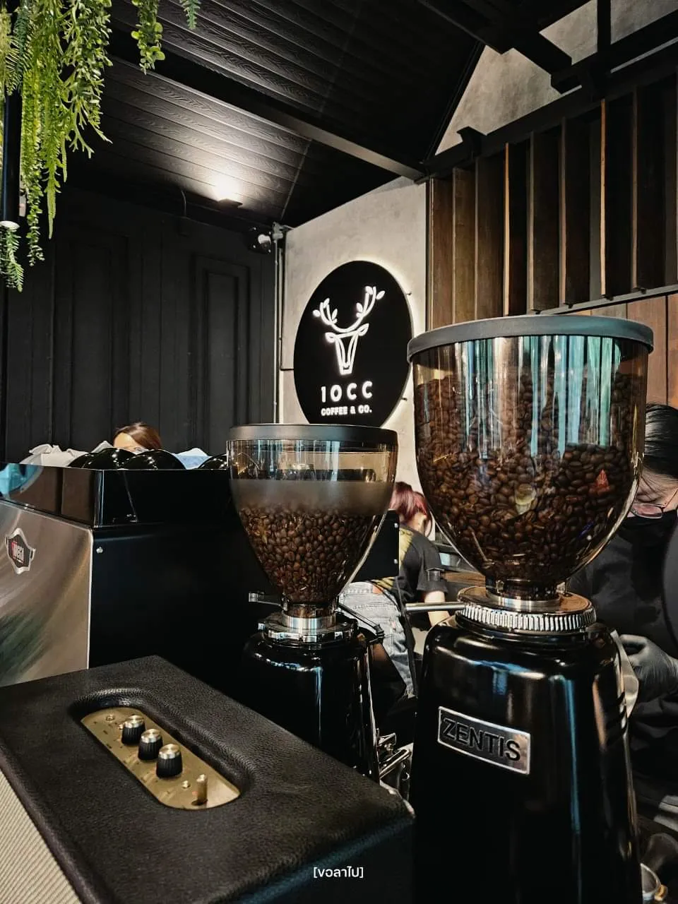 10cc Coffee & Co. คาเฟ่ร่มรื่นในเมืองทองธานี | แกลเลอรีที่โพสต์โดย ขอลาไป | Lemon8