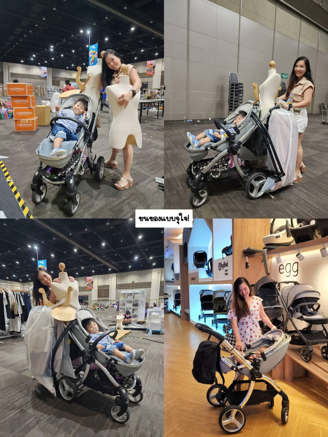 รถเข็นไข่🥚 “egg2” ใช้จริงไม่มีอวย!👍 | แกลเลอรีที่โพสต์โดย Zyne’s Diary | Lemon8