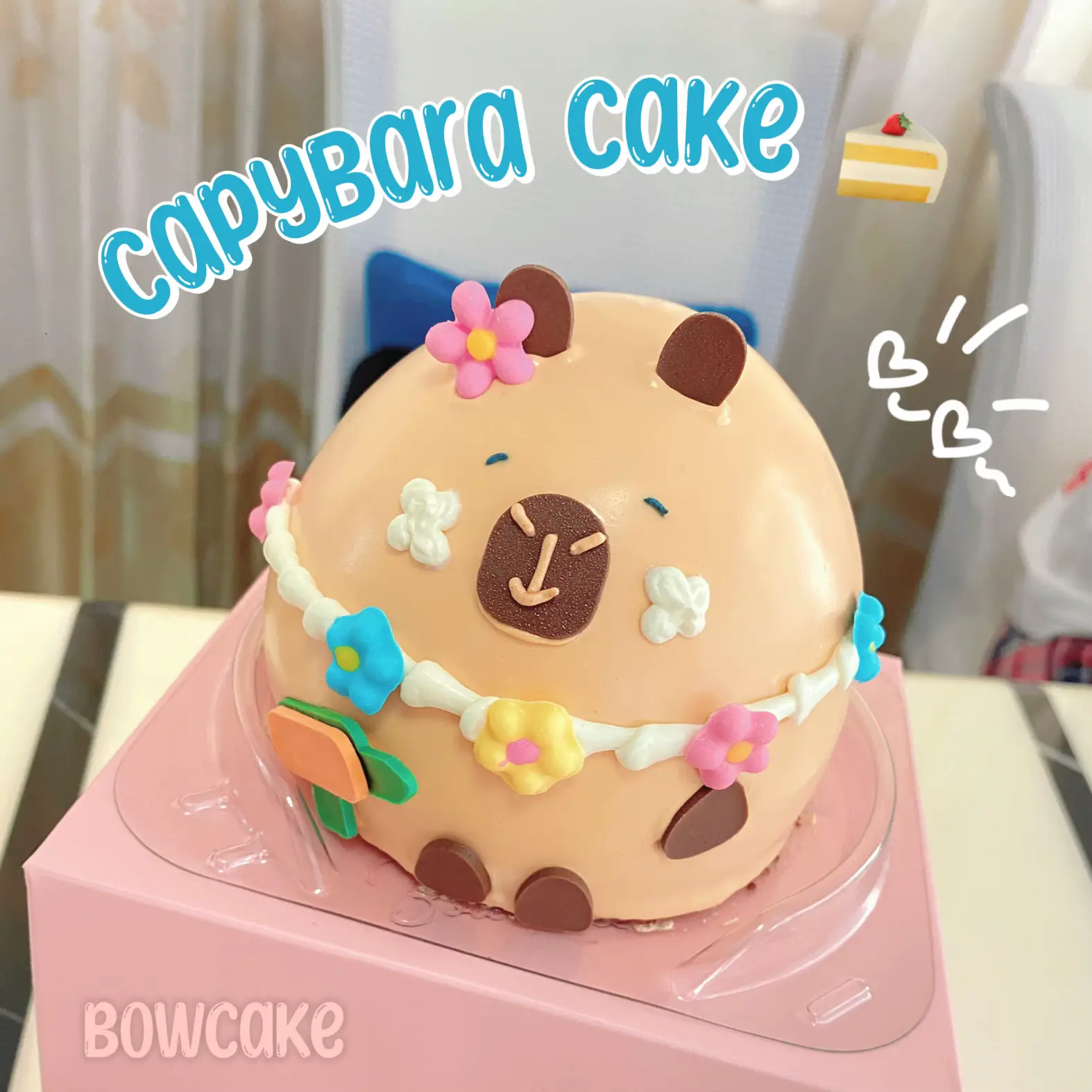 Capybara Cake 🍰 | แกลเลอรีที่โพสต์โดย Mookku Bubu 🍀 | Lemon8