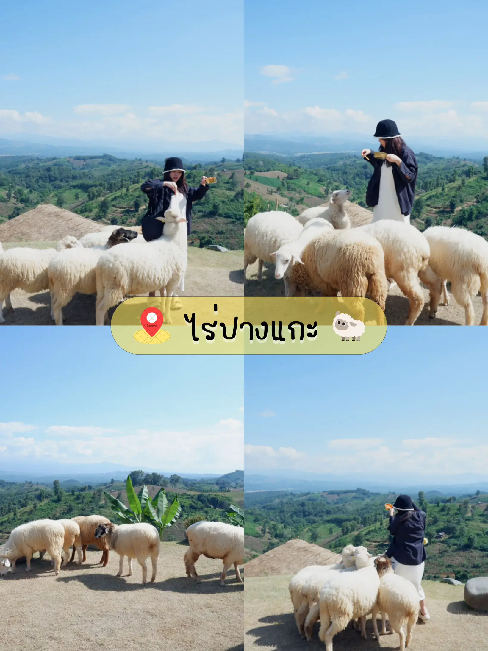 📍7 จุดเช็คอินเที่ยวน่าน 🏕️ | แกลเลอรีที่โพสต์โดย Ploy's Memory | Lemon8