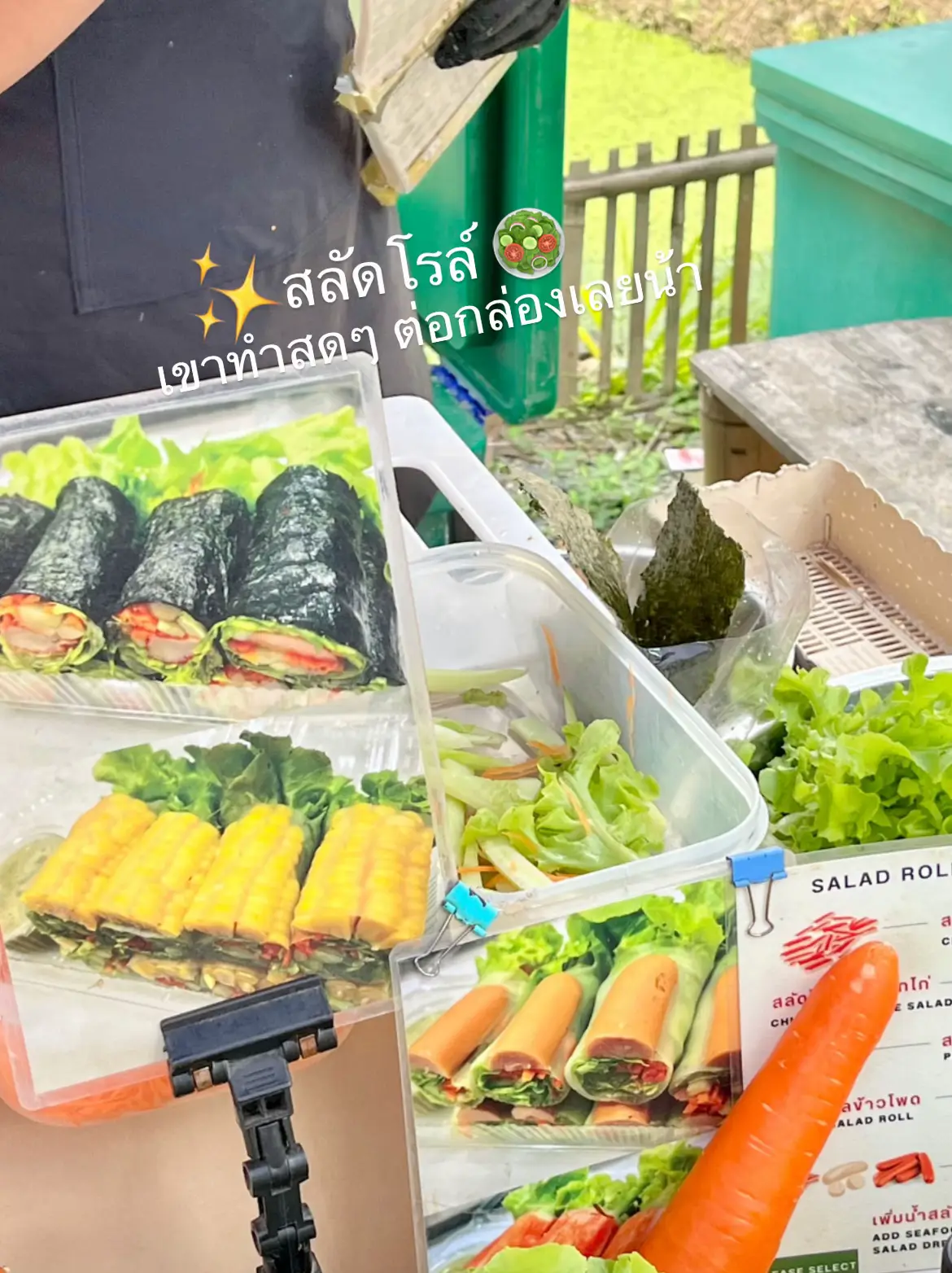 กาดบะป๊าวเชียงใหม่ | แกลเลอรีที่โพสต์โดย -Bonus- | Lemon8