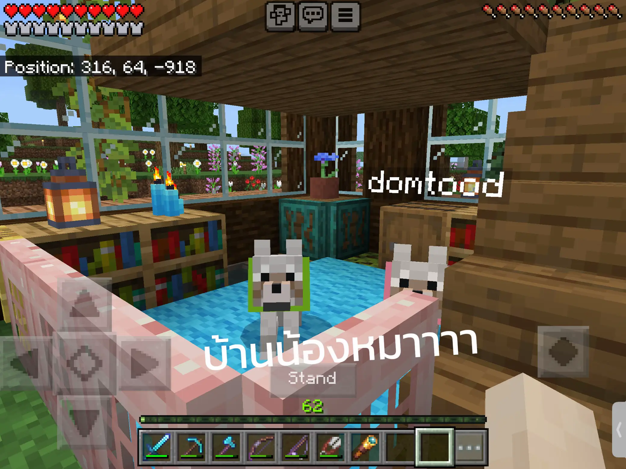 บ้านสัตว์เลี้ยงในMinecraft