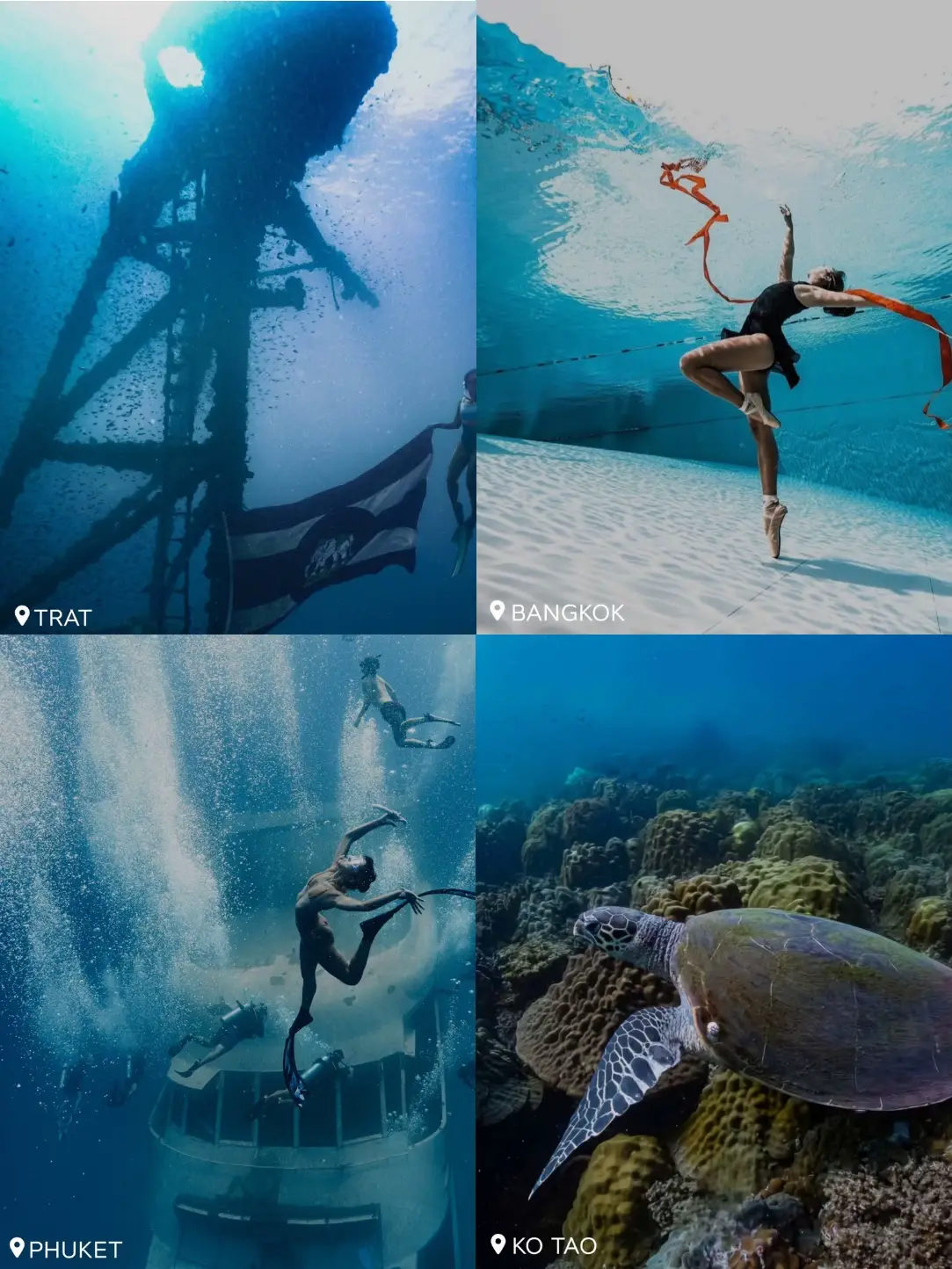 Free Diving in Thailand 🌊 | แกลเลอรีที่โพสต์โดย Amazing_Thailand | Lemon8