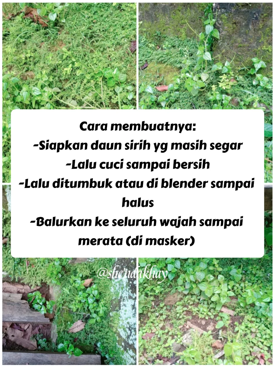 WAJAH BULUK JADI GLOWING | Galeri diposting oleh shenda khay | Lemon8