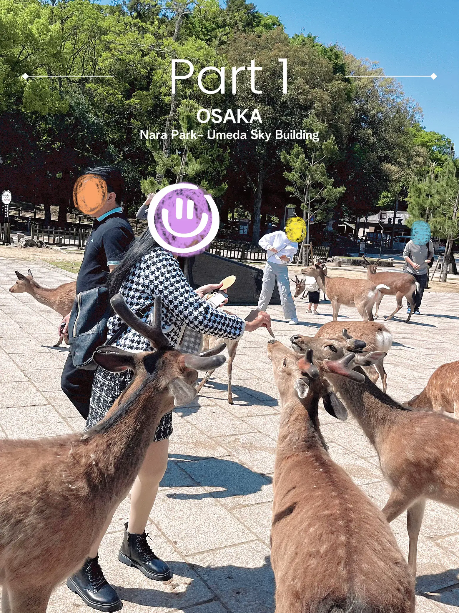 แพลนเที่ยว OSAKA-Part 1 🇯🇵⛈️ | แกลเลอรีที่โพสต์โดย amr.mo | Lemon8