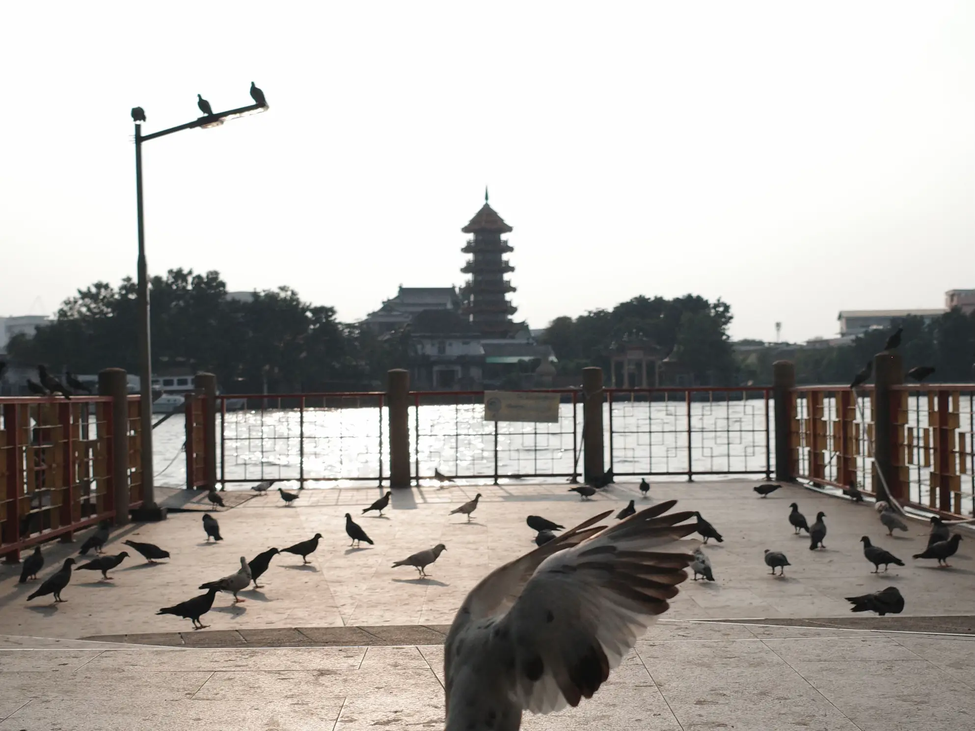 📷 A day with my Ricoh GRiii - Diary Edition | แกลเลอรีที่โพสต์โดย Jand ...