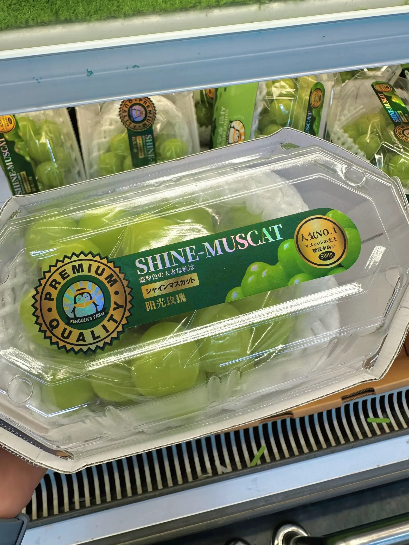 Shine muscat | แกลเลอรีที่โพสต์โดย Boono | Lemon8