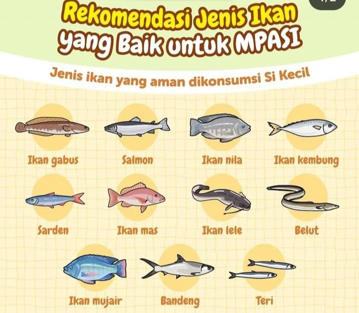 20 ide Mpasiikanbandeng teratas di 2024