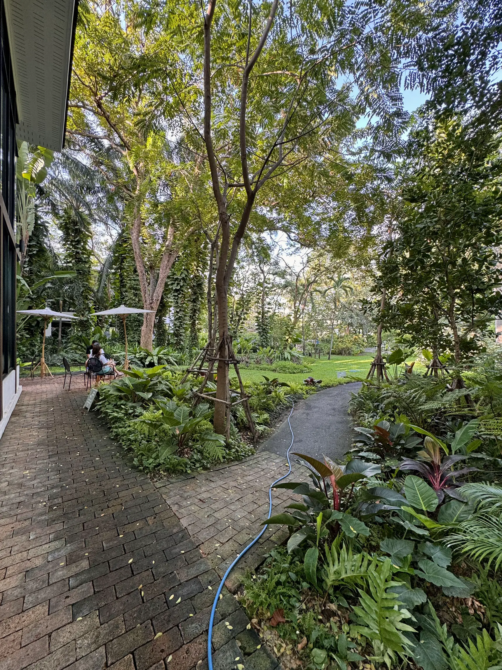 MiVana Organic Forest Coffee | แกลเลอรีที่โพสต์โดย 𝐇𝐀𝐓𝐀𝐈 | Lemon8