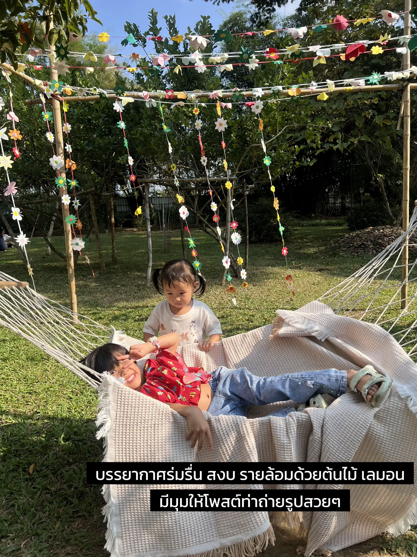 ในแมกไม้ คาเฟ่เชียงราย | แกลเลอรีที่โพสต์โดย bb_bell | Lemon8