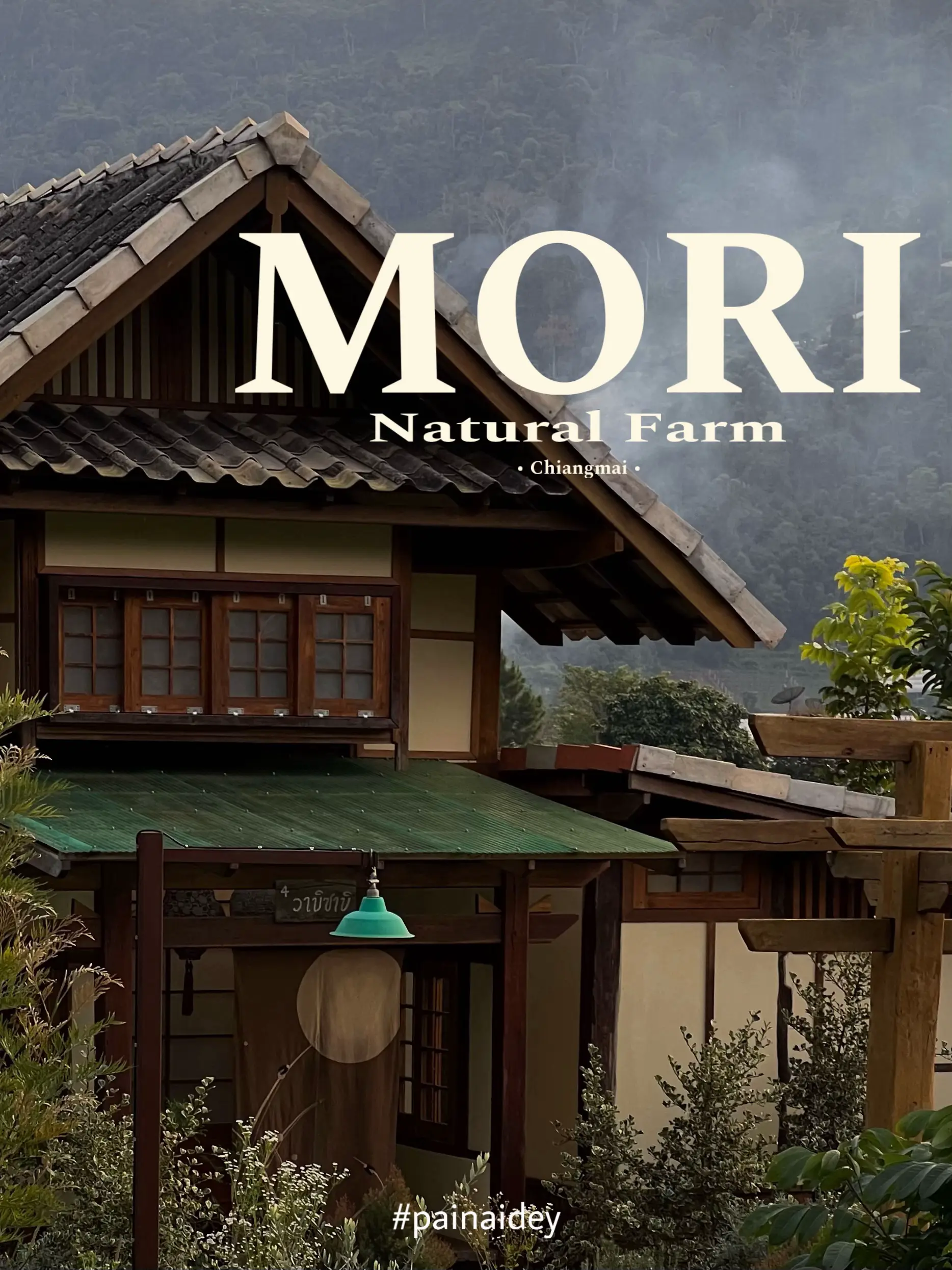 Mori Natural Farm • Chiangmai | แกลเลอรีที่โพสต์โดย gustcnk | Lemon8
