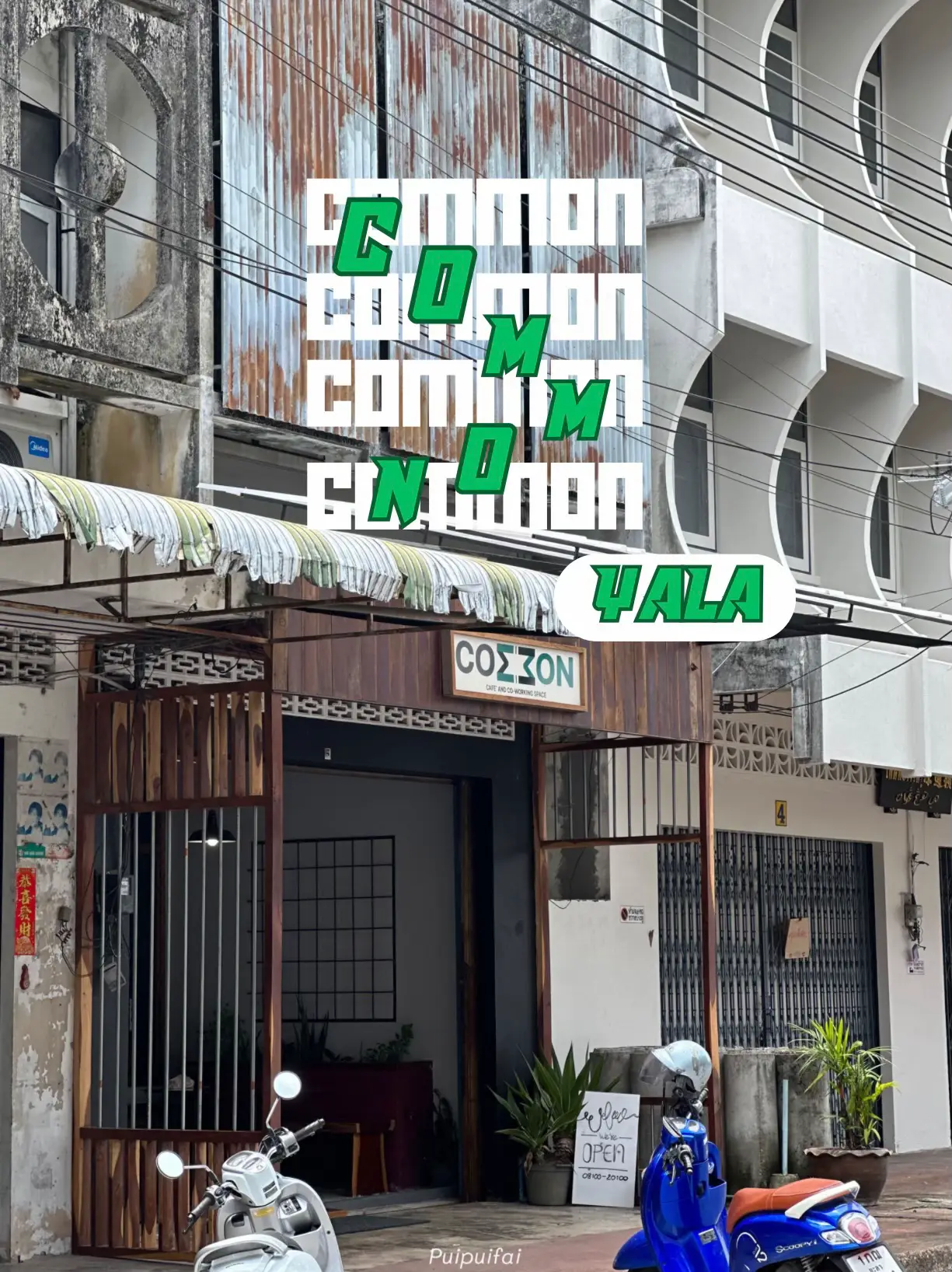 Common cafe Yala😍 | Gallery posted by Puipuifai | Lemon8