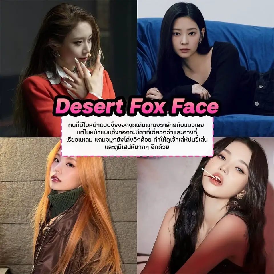 🧐 พาเช็ค Animal Face Type เทรนด์ที่กำลังมาในเกาหลี | แกลเลอรีที่โพสต์โดย Proxumer | Lemon8