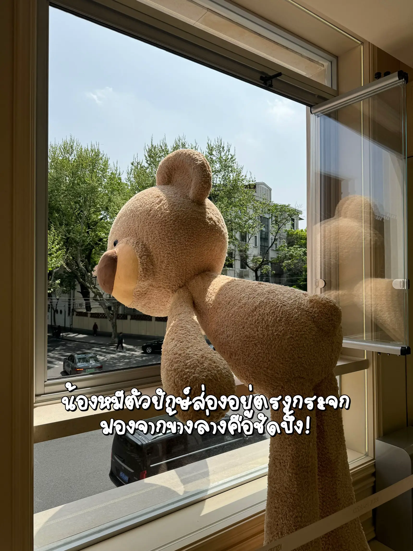 Must-Go Bear Cafe 13DE MARZO 🧸🥤 (Anfu Road, Shanghai) | Gallery posted by กินเที่ยวชอป💖 | Lemon8