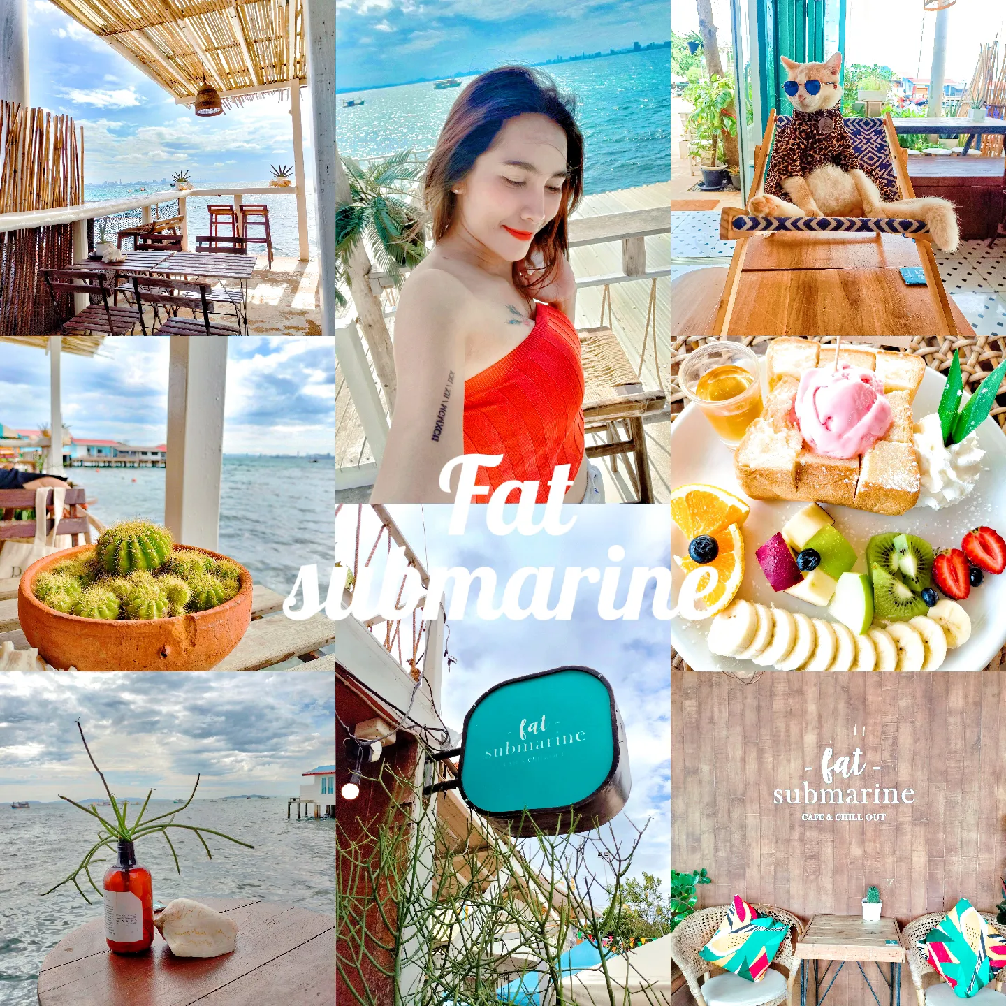 Fat | แกลเลอรีที่โพสต์โดย Aor | Lemon8