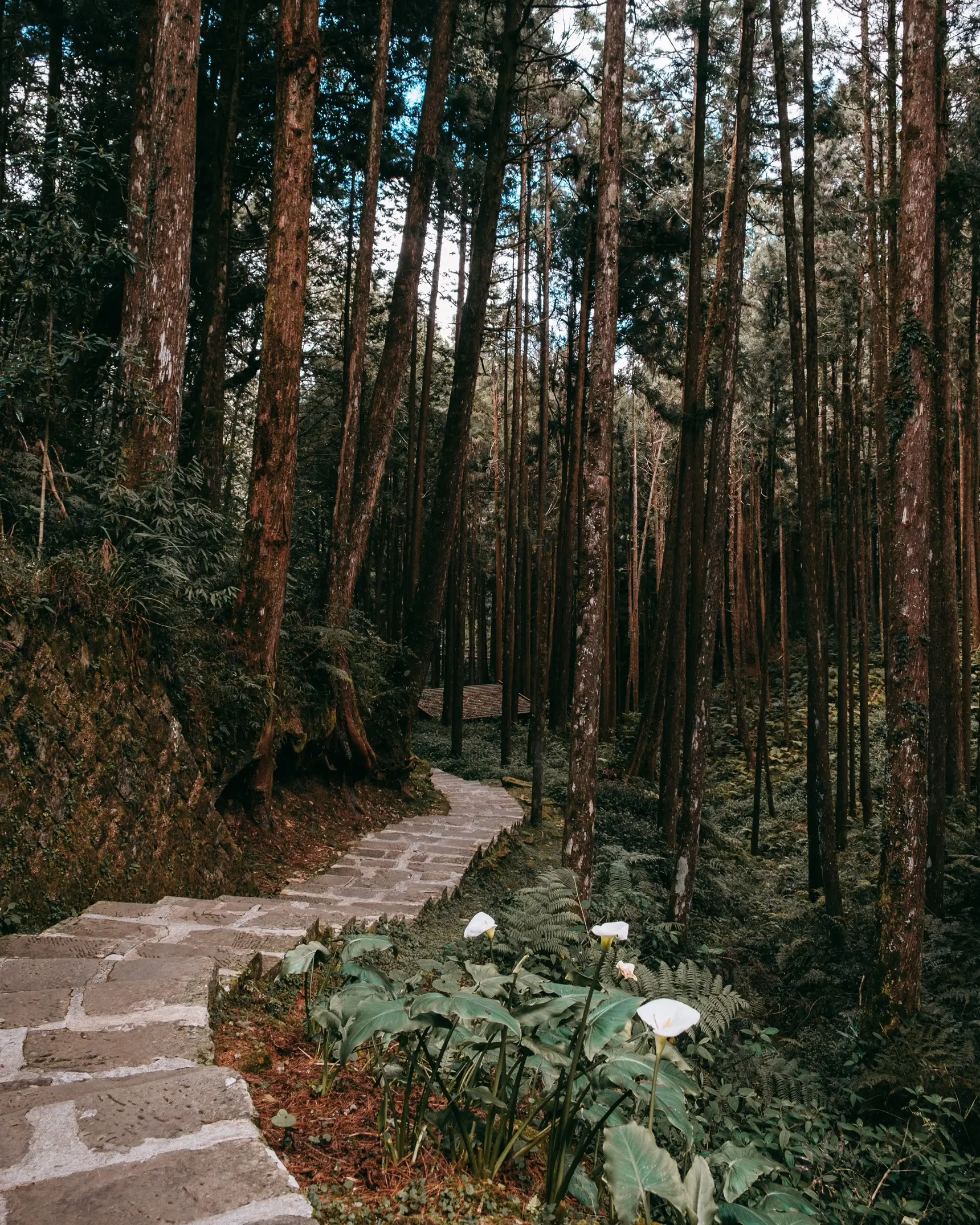 Breathe fresh air in the middle of the valley at Alizan National Park ...